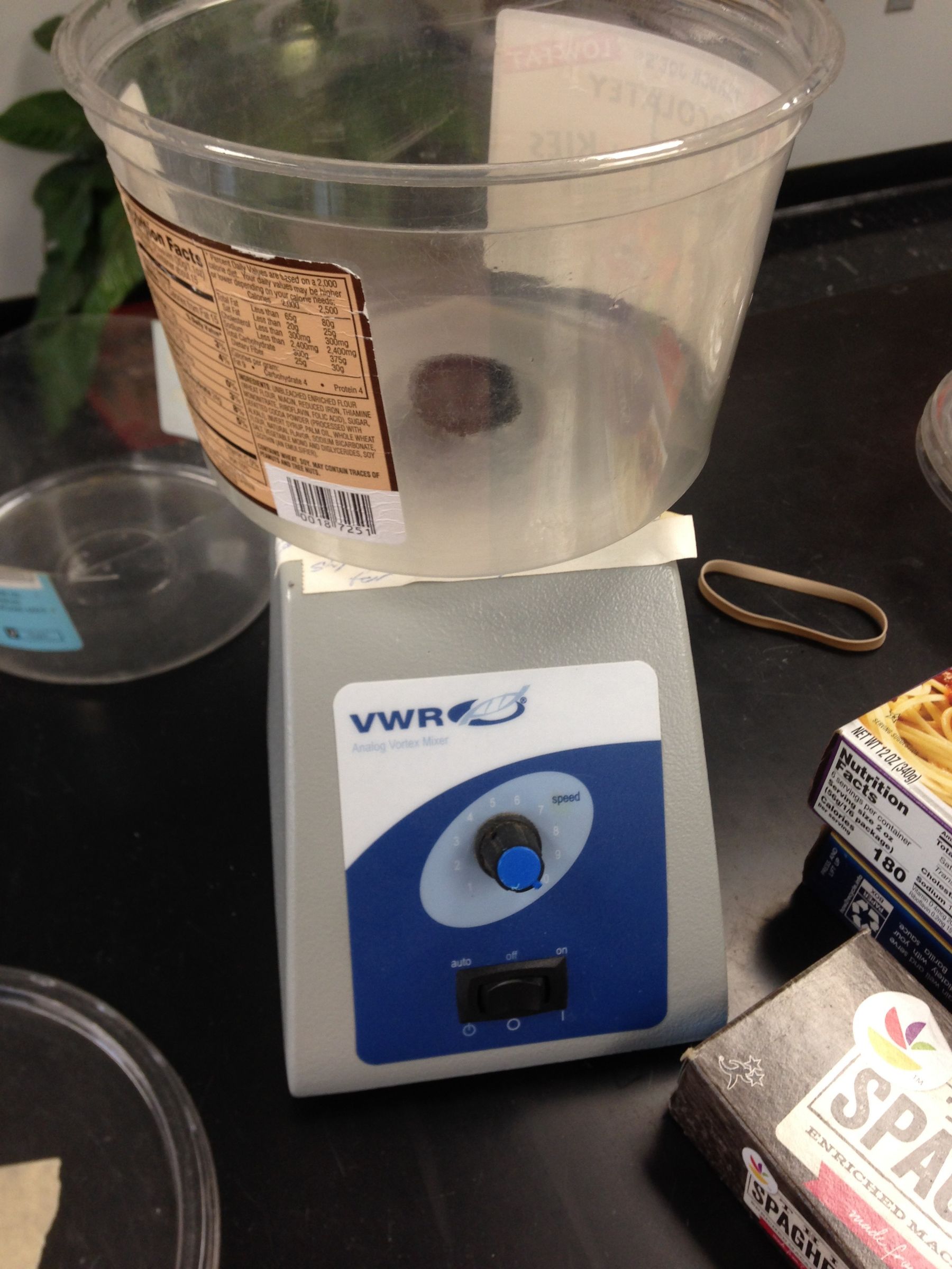 Spaghetti, Marshmallows, and Earthquake Preparedness : 5 Steps (with ...