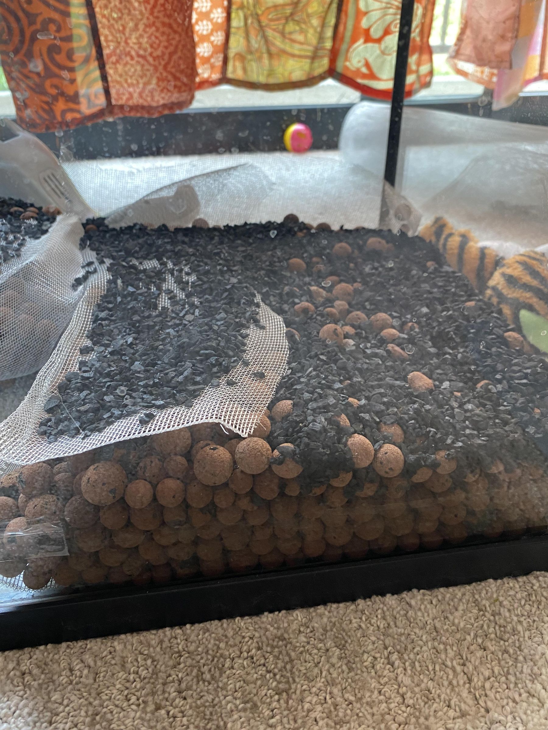 How to Build a Paludarium : 7 Steps (with Pictures) - Instructables