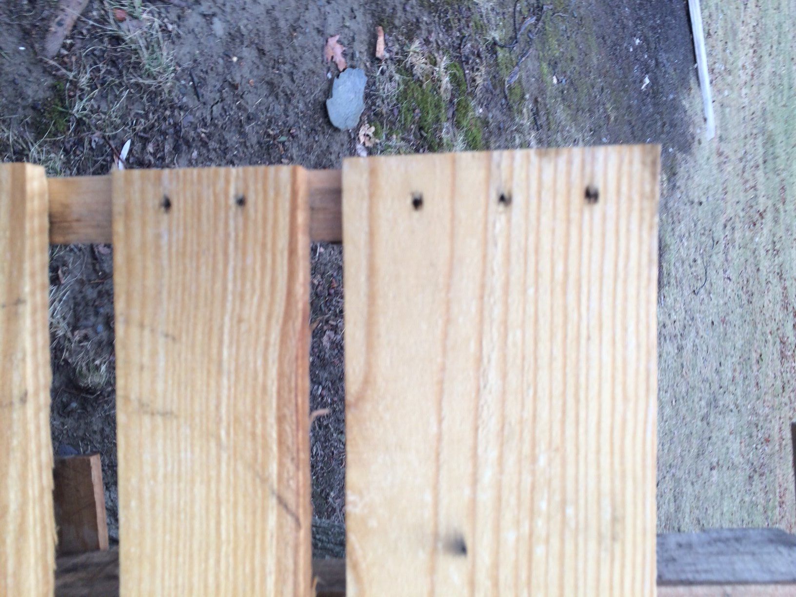 Pallet Wall : 9 Steps (with Pictures) - Instructables