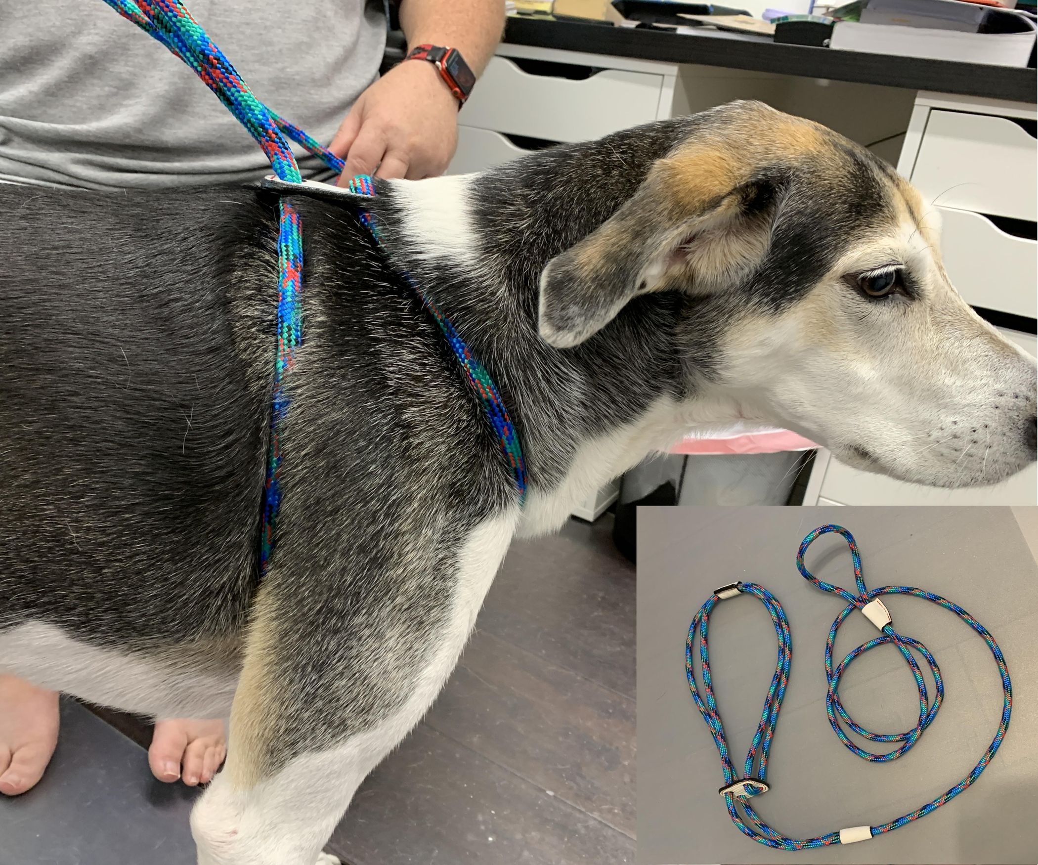 DIY Escape Proof Dog Harness-Leash : 15 Steps (with Pictures ...