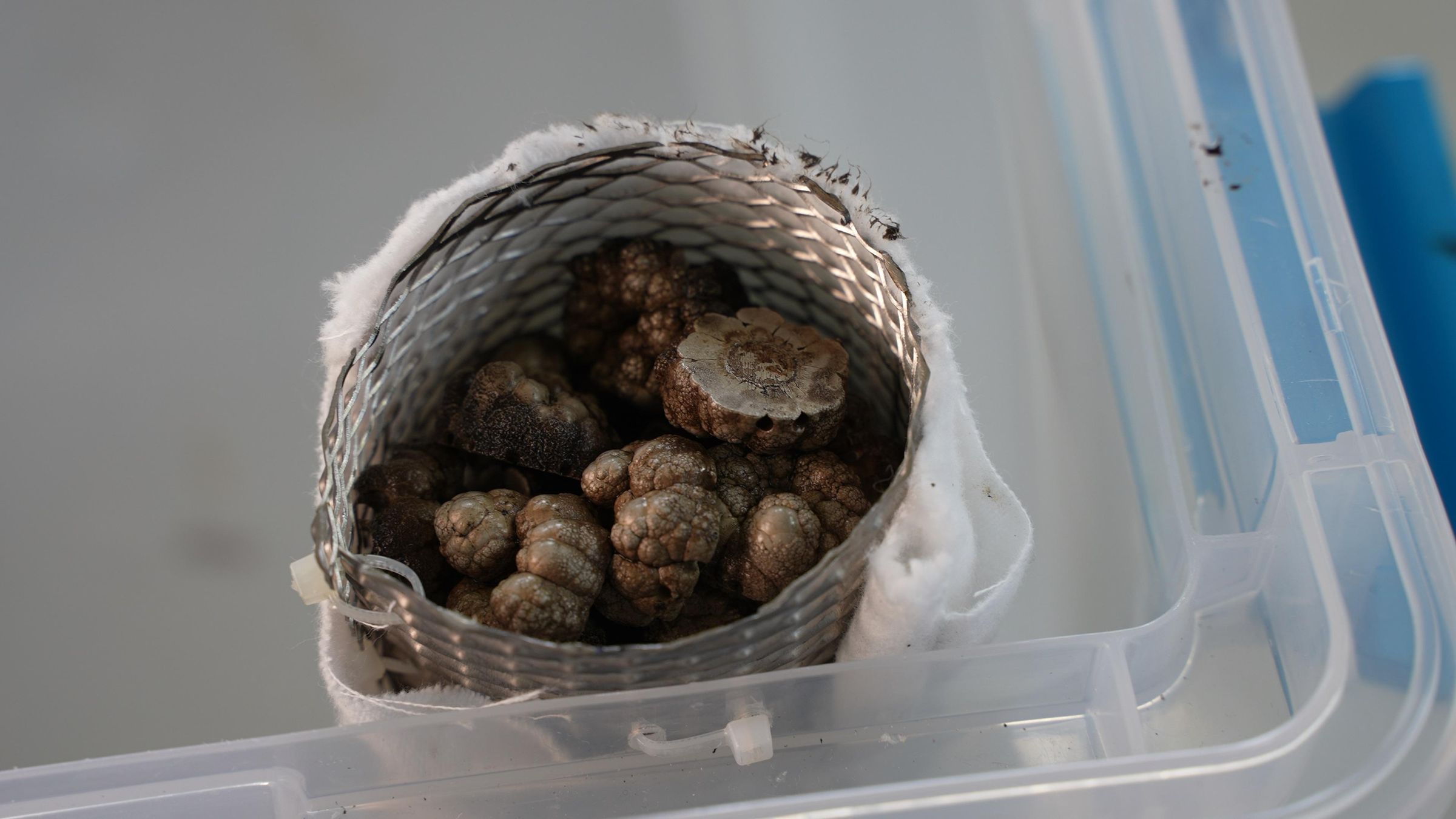 No-Fail Metal Plating With Kitchen Chemistry : 8 Steps (with Pictures ...