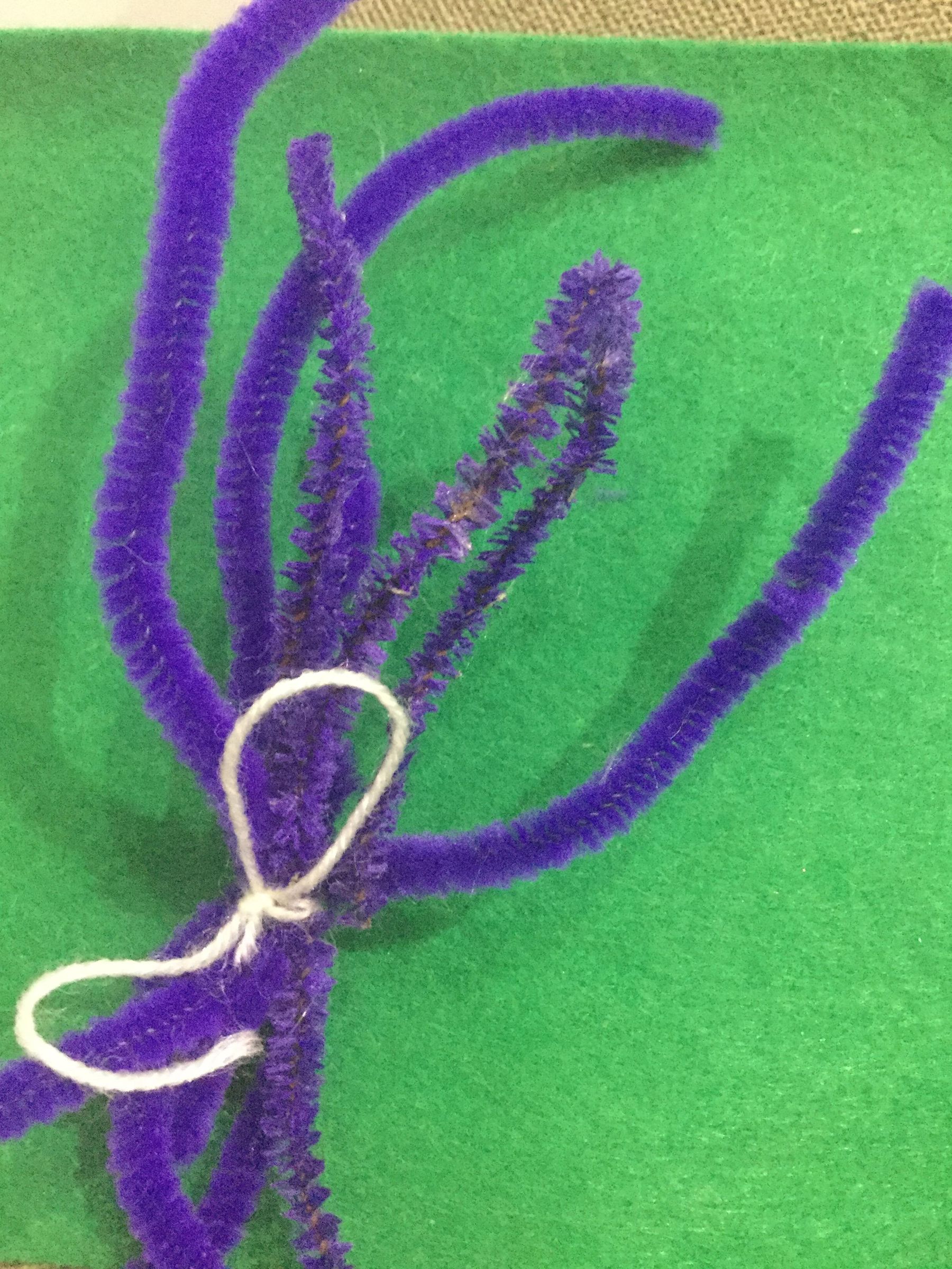 Marine Ecosystem Model With Candy! : 30 Steps - Instructables