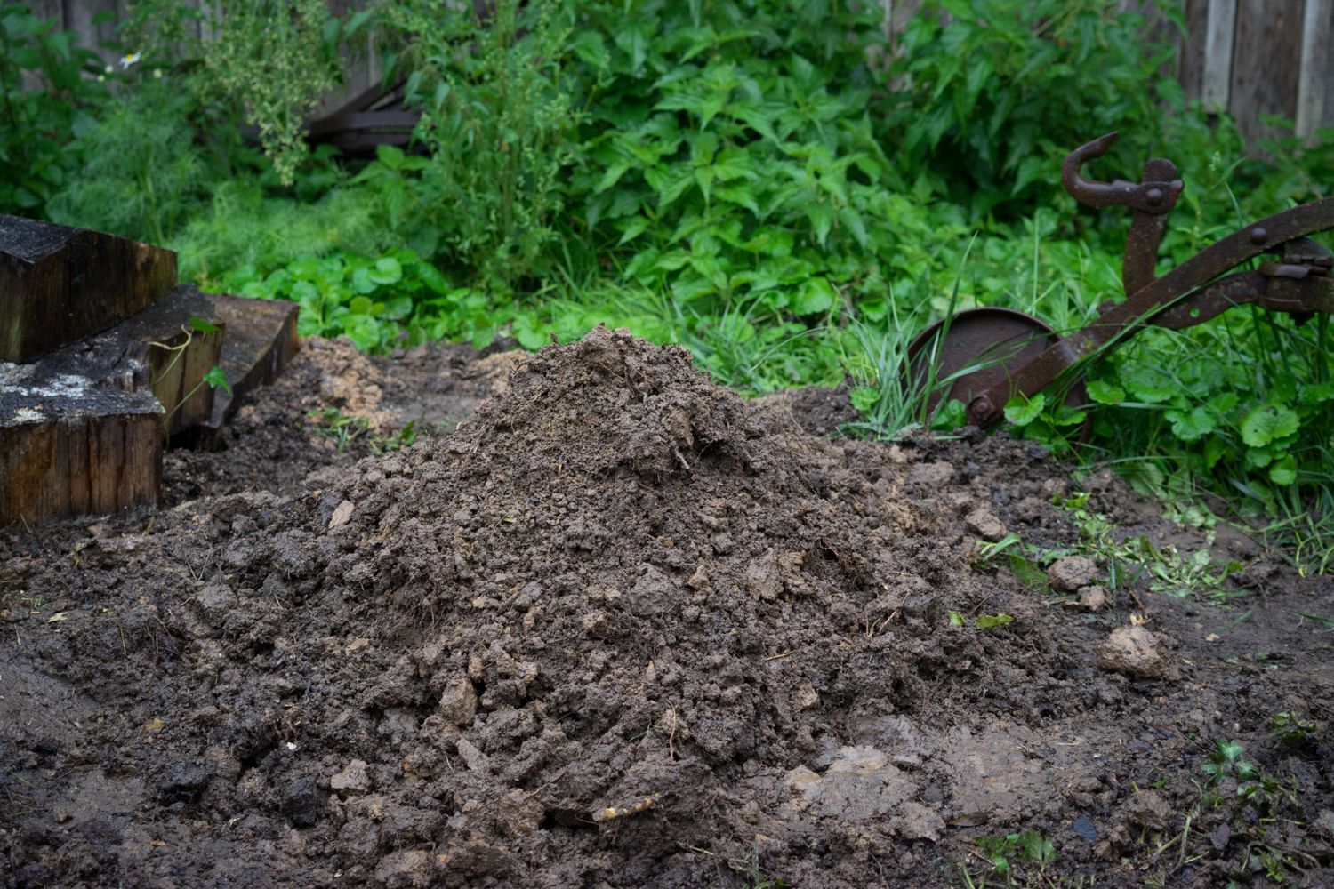 How to Build a Raised Permaculture Bed : 9 Steps (with Pictures ...