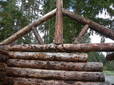 How to Build a Log Shelter : 11 Steps (with Pictures) - Instructables