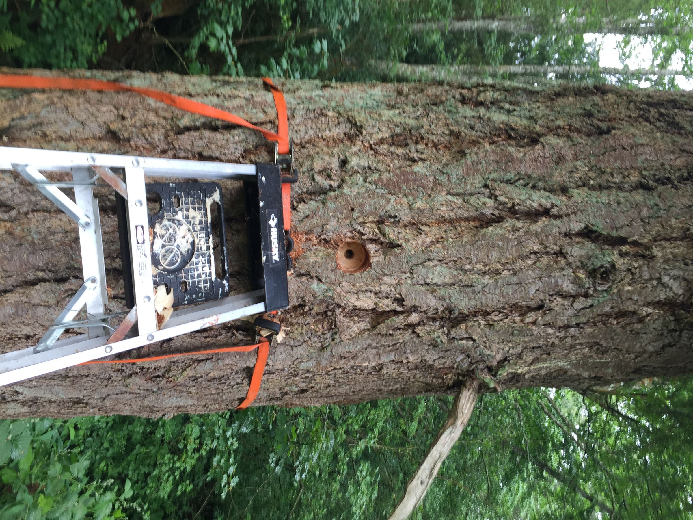 Treehouse Build : 10 Steps (with Pictures) - Instructables