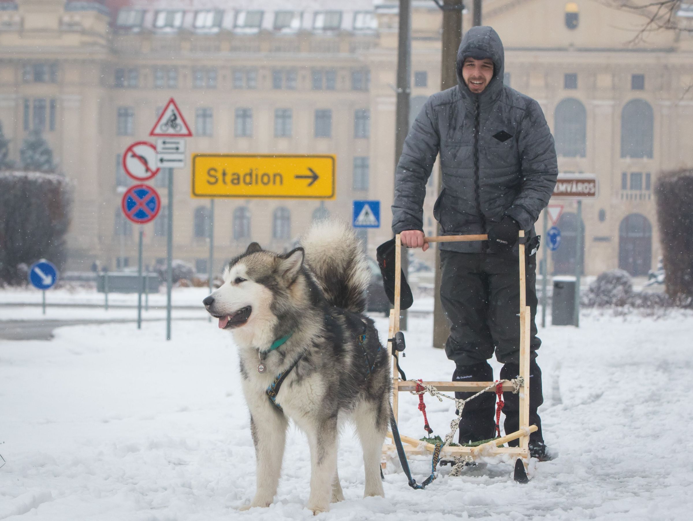 Homemade Dogsled (kicksled) : 8 Steps (with Pictures) - Instructables