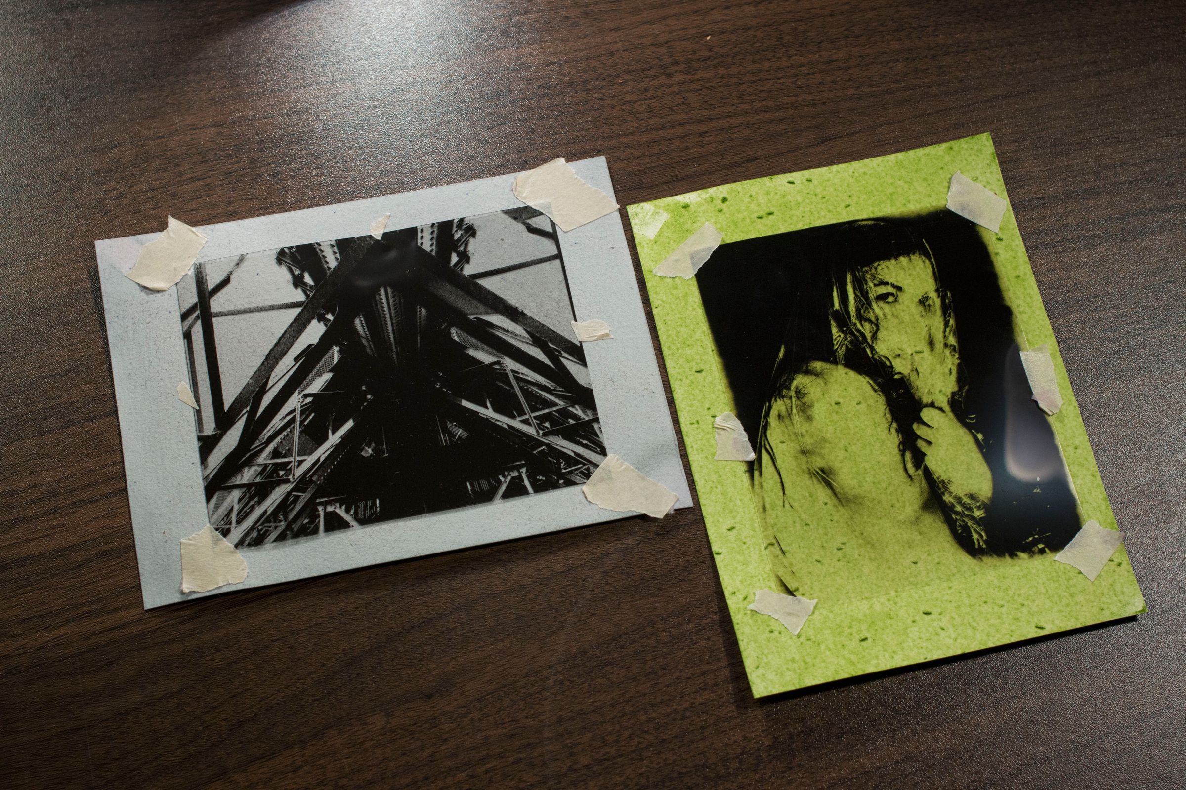 DIY Anthotype Prints: Photography : 5 Steps (with Pictures) - Instructables