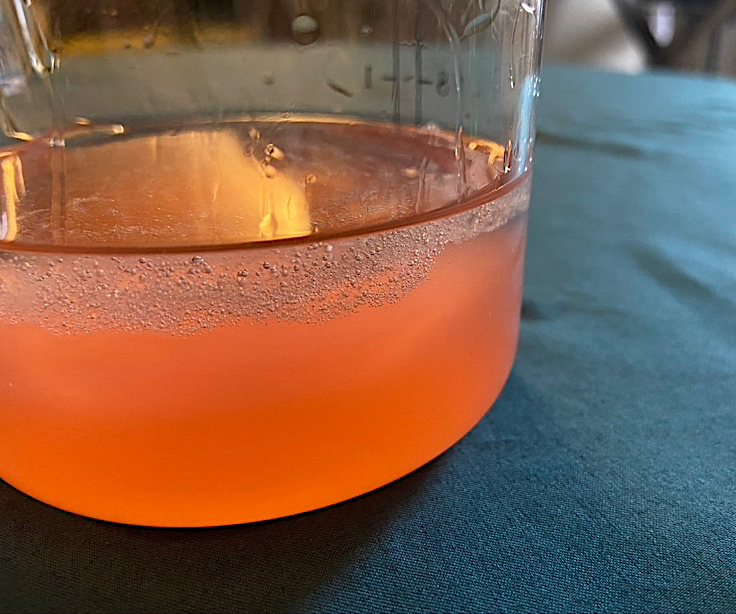 extracting dna from fruit DIY Project - Step-by-Step DIY Project ...