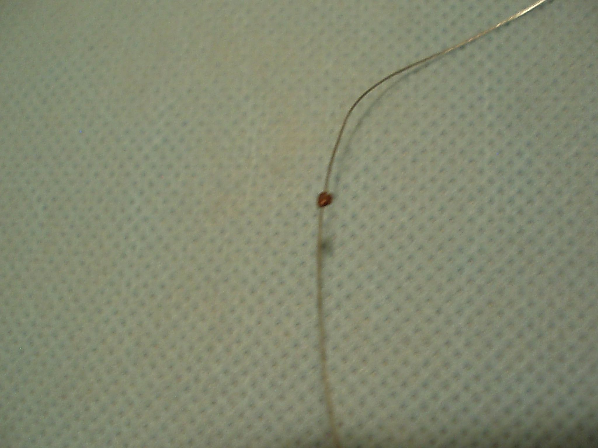 Simple One-strand Necklace : 4 Steps - Instructables