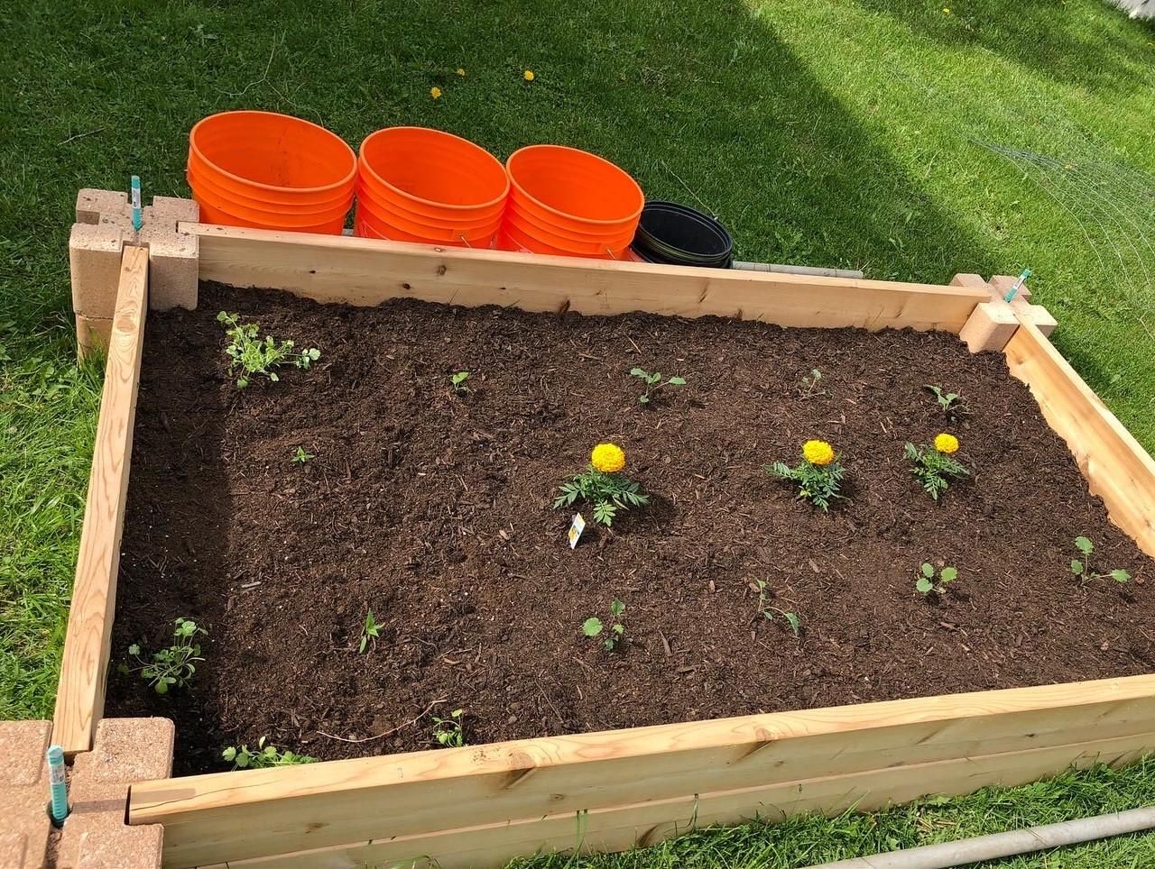 Super Easy Raised Garden Bed : 5 Steps (with Pictures) - Instructables