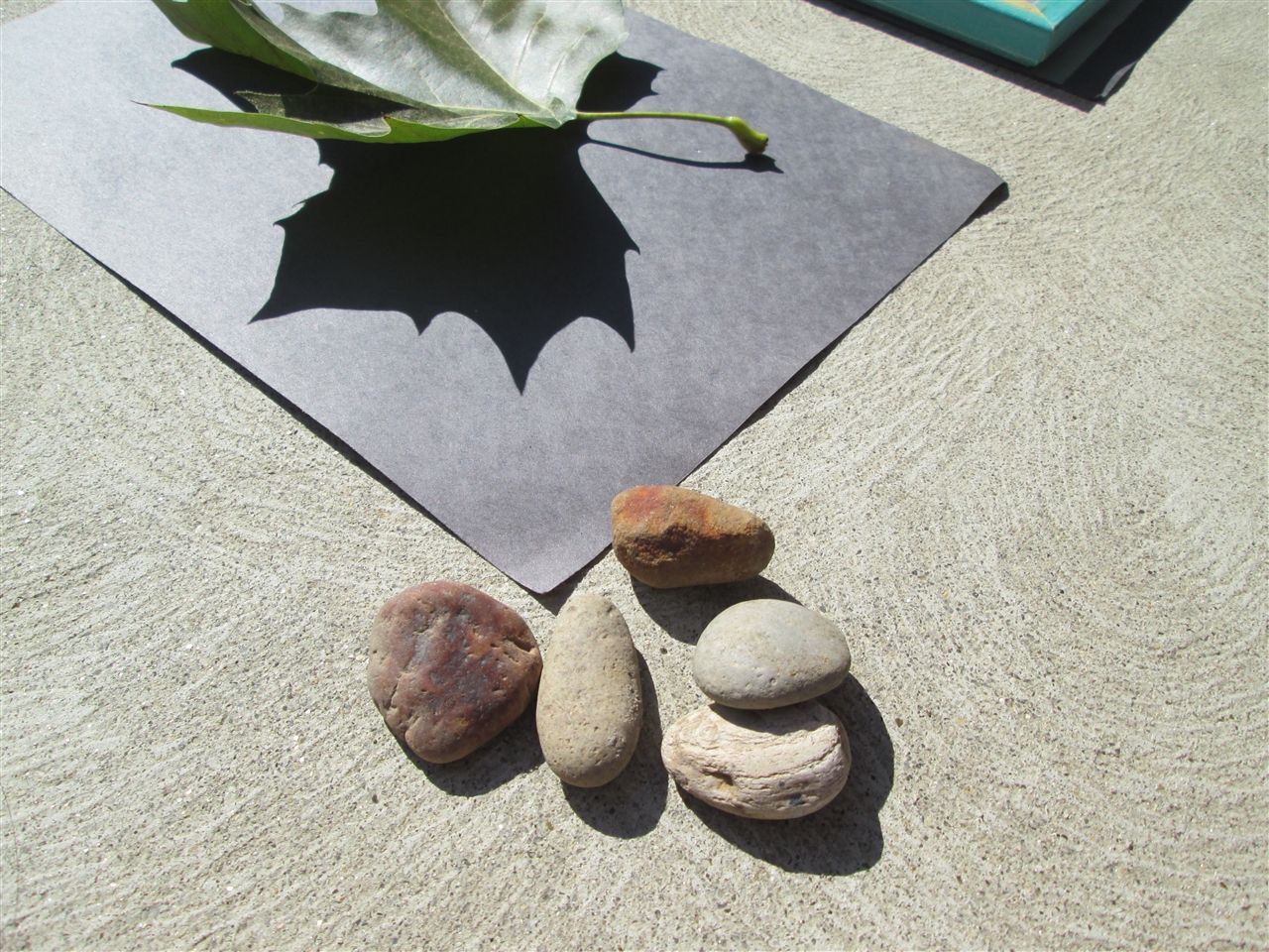 DIY Construction Paper Solar Prints : 6 Steps (with Pictures ...
