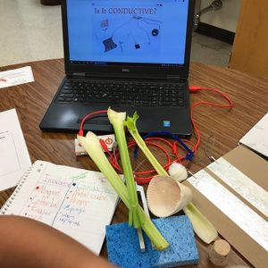 "Is It Conductive?" Makey Makey Experiment : 6 Steps (with Pictures ...