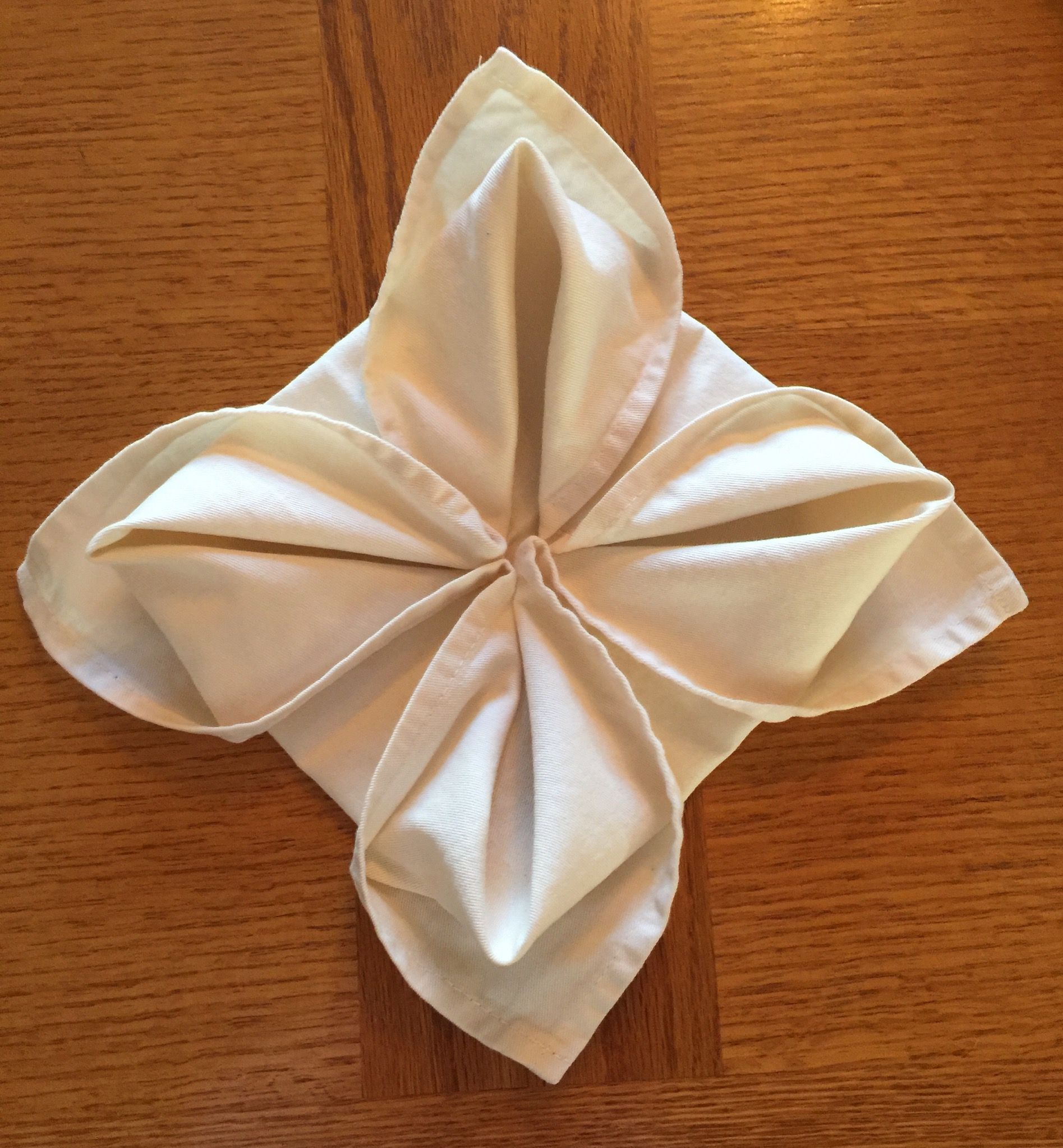 Napkin Folding - Flower : 9 Steps (with Pictures) - Instructables