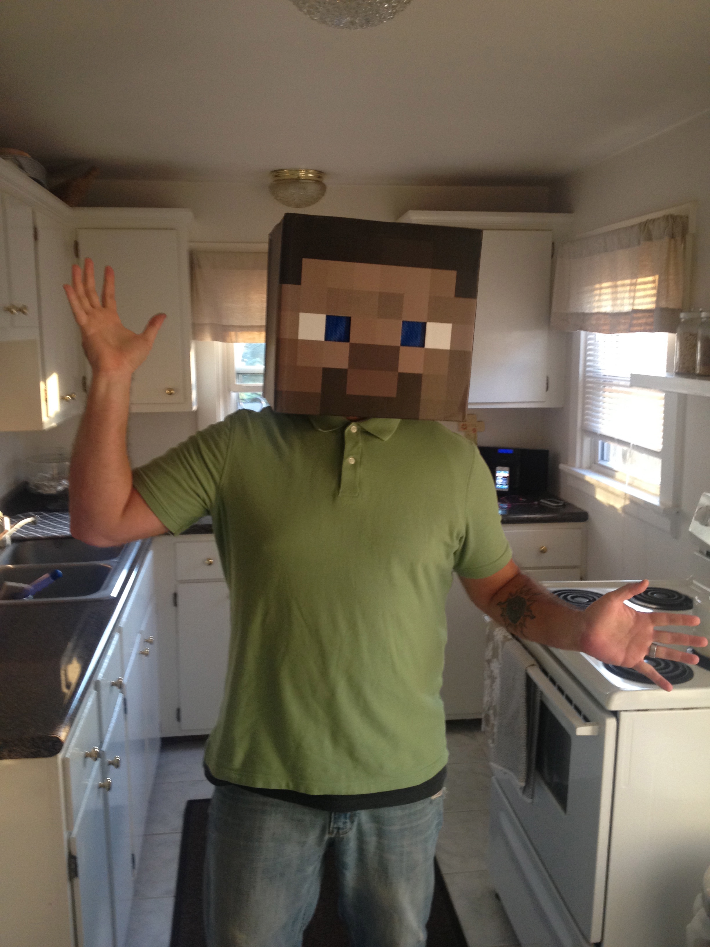Minecraft Steve Stable Head Build : 10 Steps - Instructables