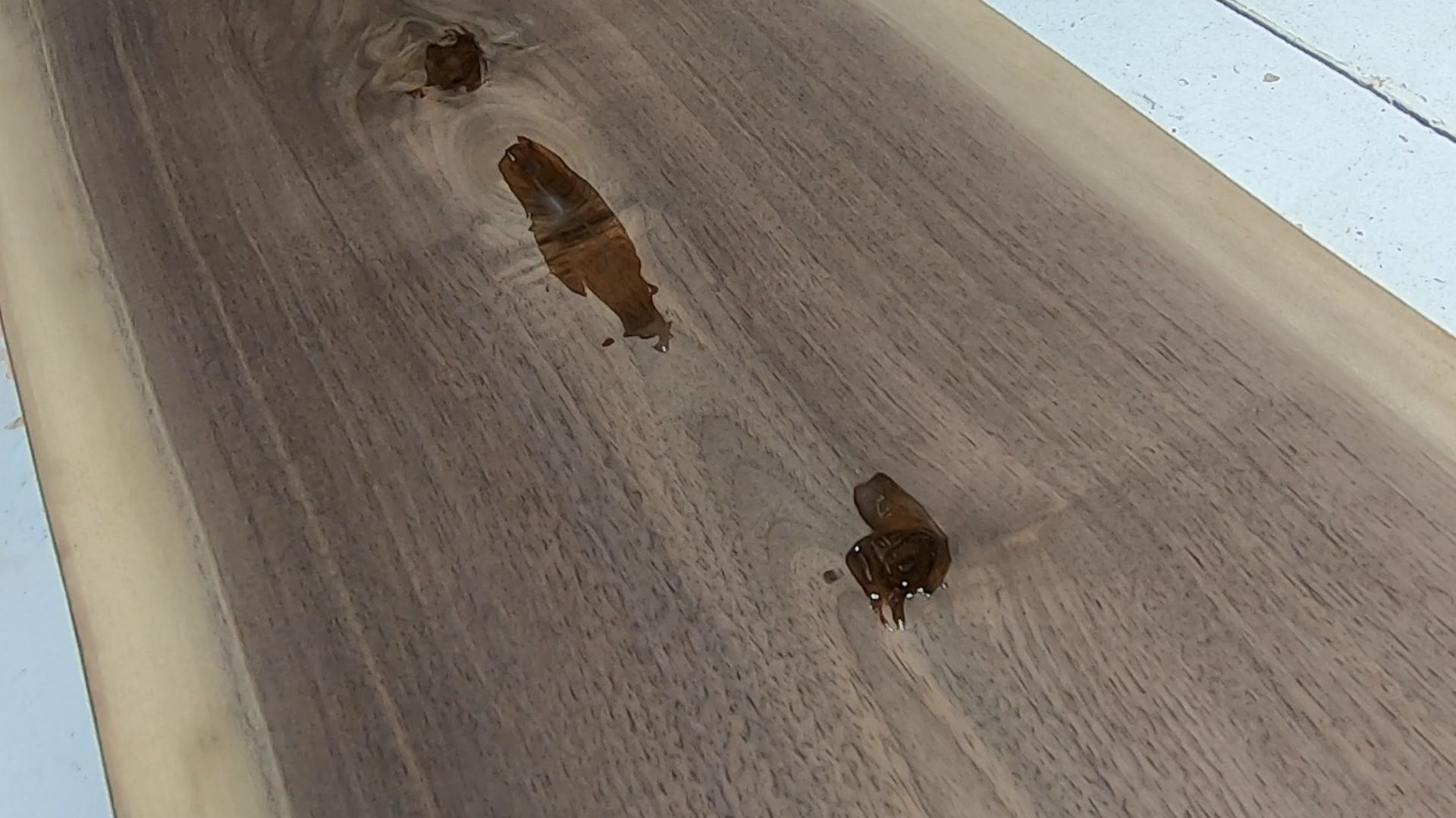 Live Edge Serving Board : 12 Steps (with Pictures) - Instructables