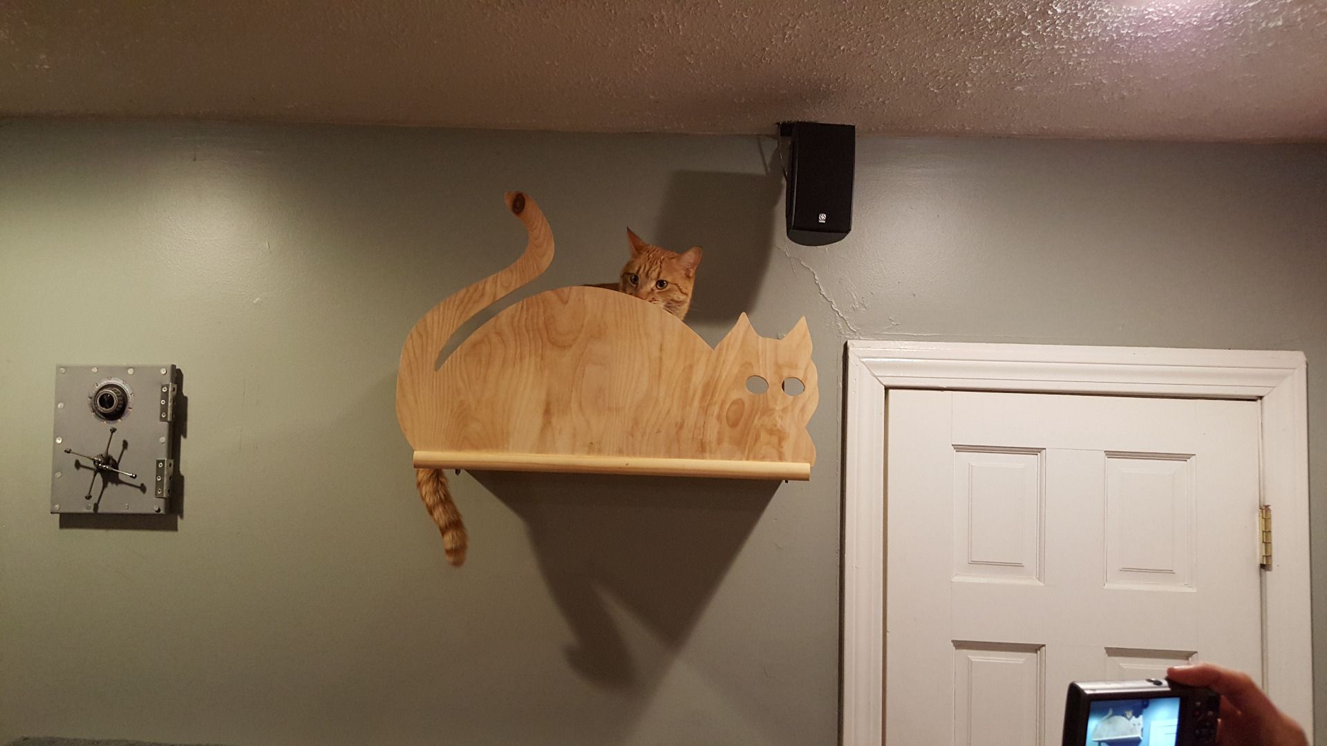 Cat Adventure and Escape Wall : 12 Steps (with Pictures) - Instructables