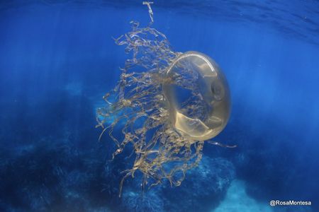 A Jellyfish Made Out of a Recycled Plastic Keg : 8 Steps (with Pictures ...