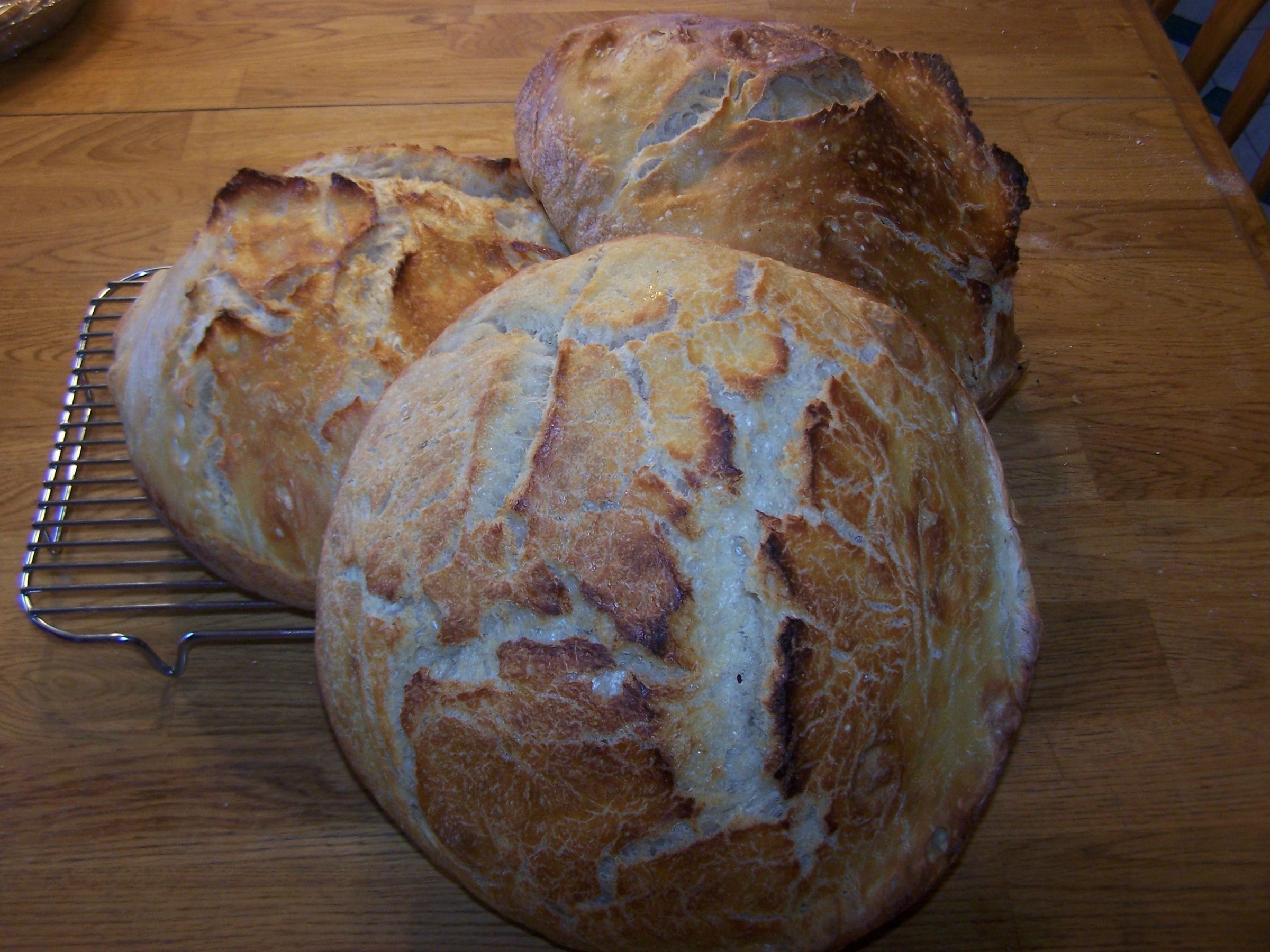 Daily Bread - Instructables