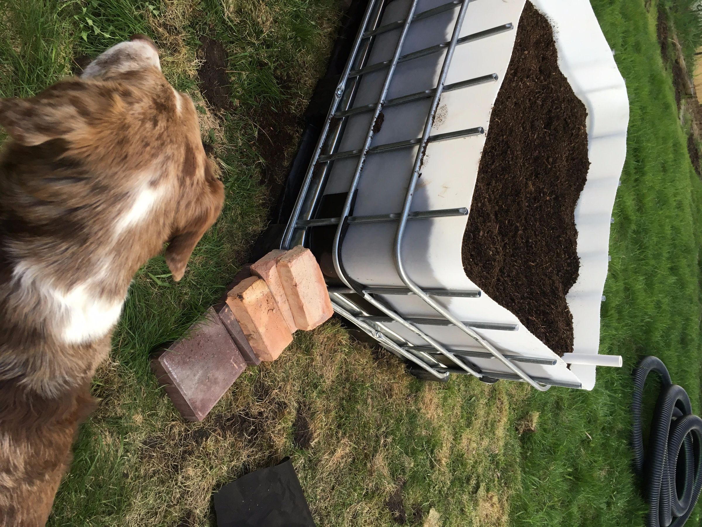 Sub-Irrigated Planter From Reclaimed IBC Water Tank : 9 Steps (with ...