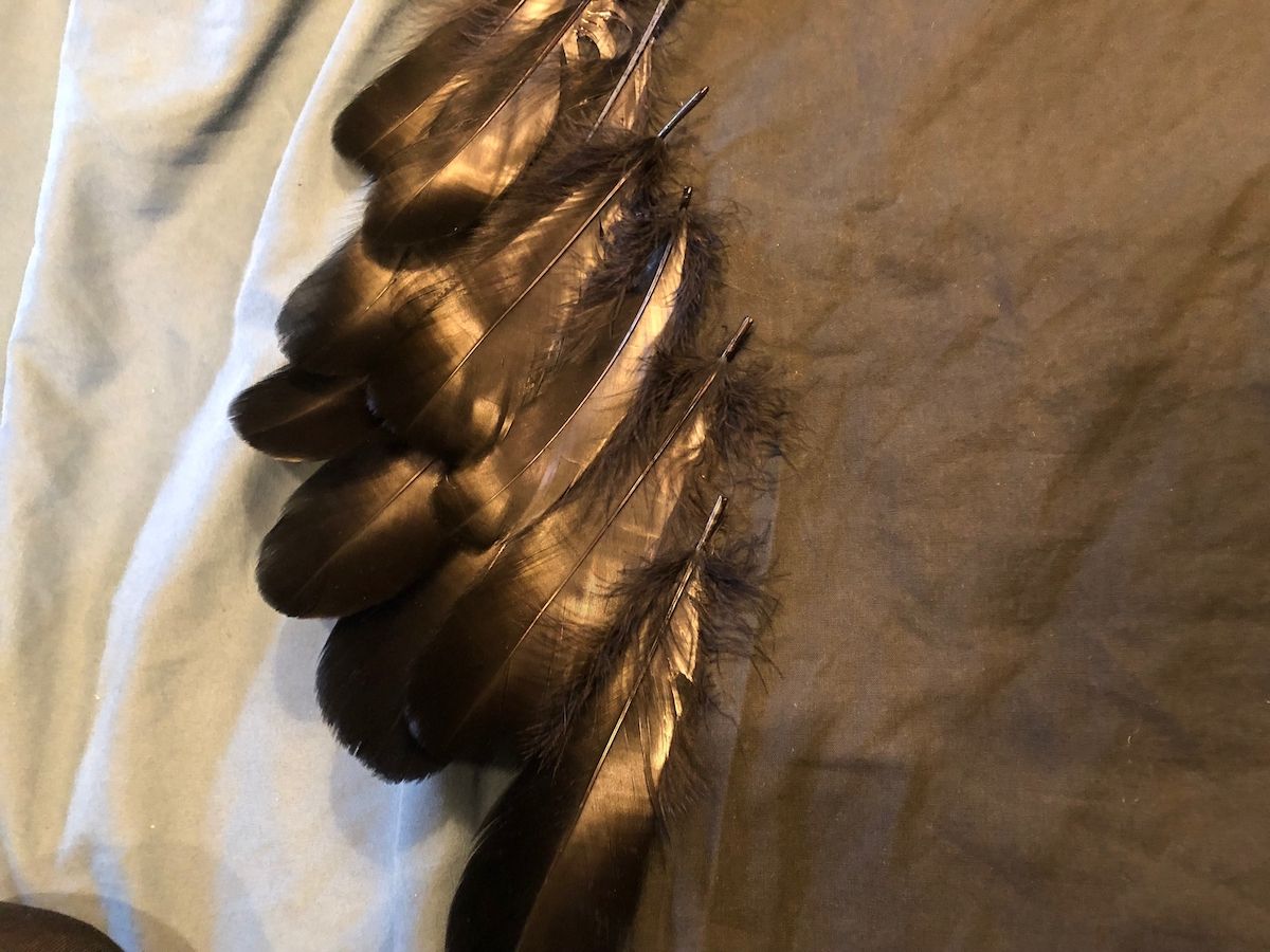 DIY Raven Costume : 9 Steps (with Pictures) - Instructables