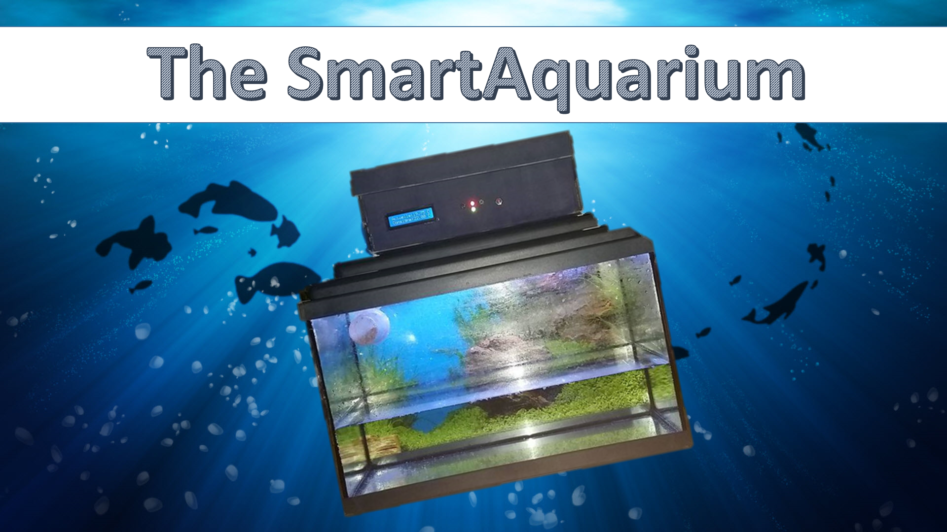 SmartAquarium : 8 Steps (with Pictures) - Instructables