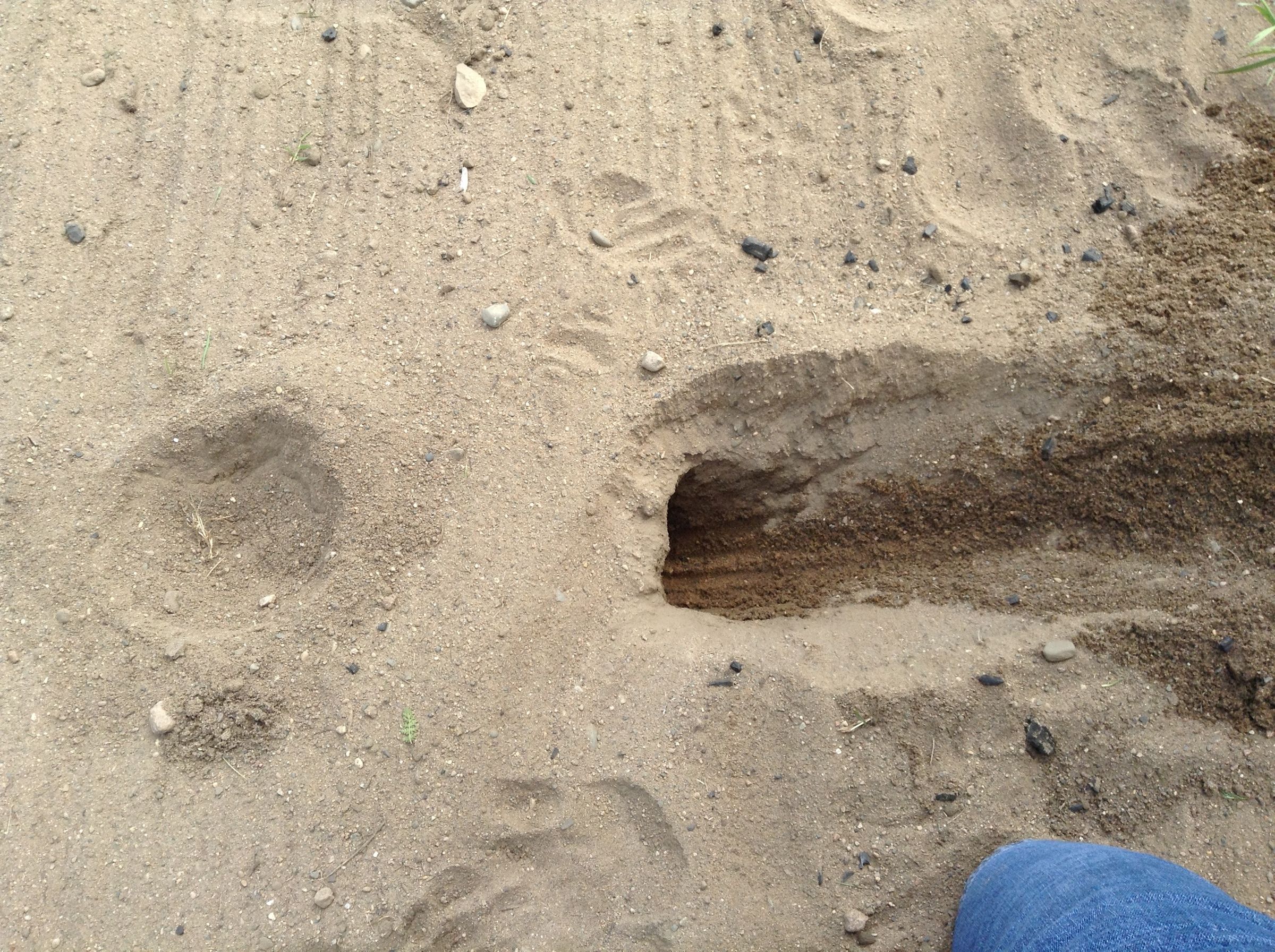 Sand Rocket Stove : 8 Steps - Instructables