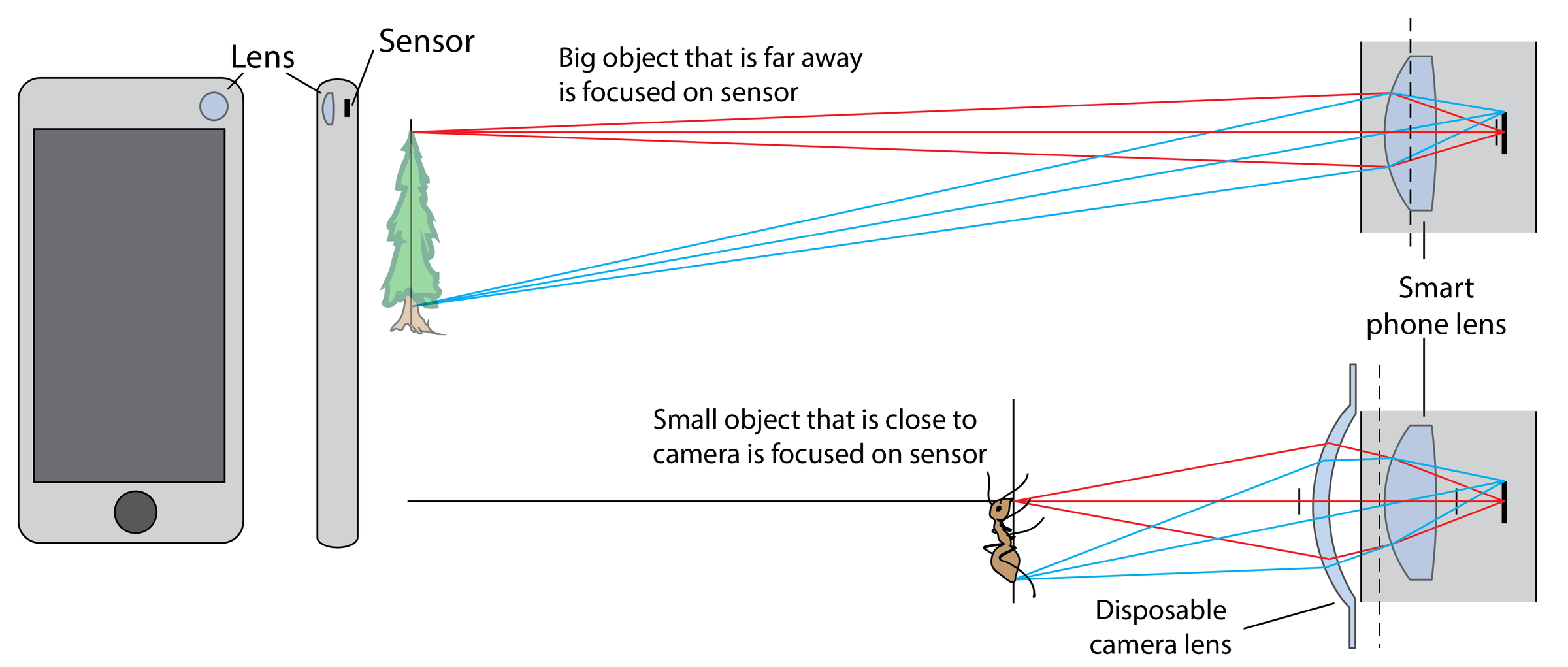 Low-cost Fluorescence and Brightfield Microscopes : 9 Steps (with ...