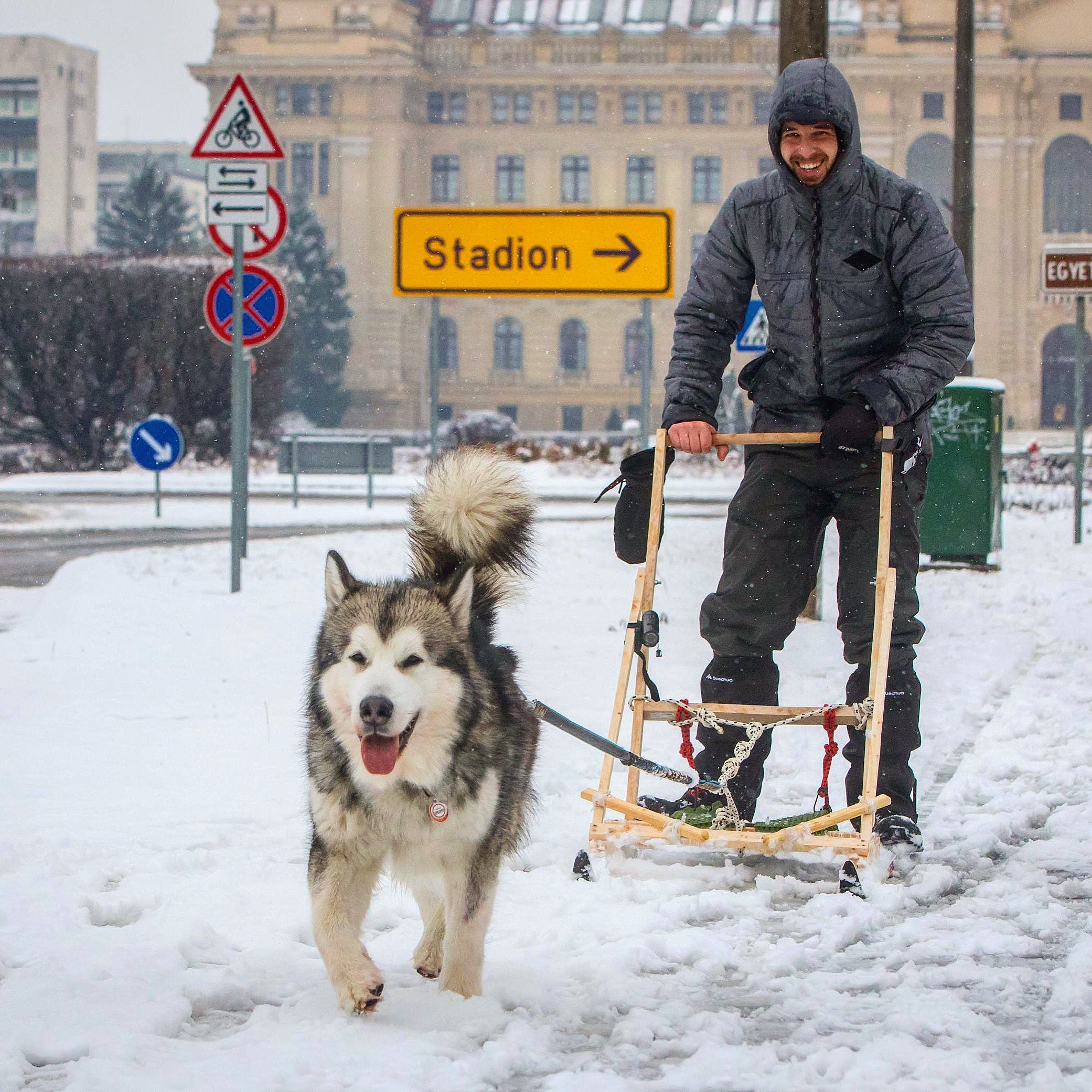 Homemade Dogsled (kicksled) : 8 Steps (with Pictures) - Instructables