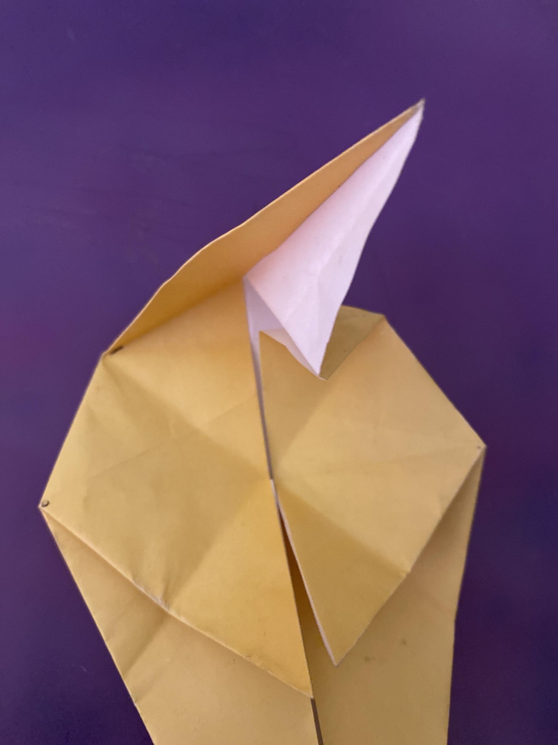 Origami Rat : 27 Steps - Instructables