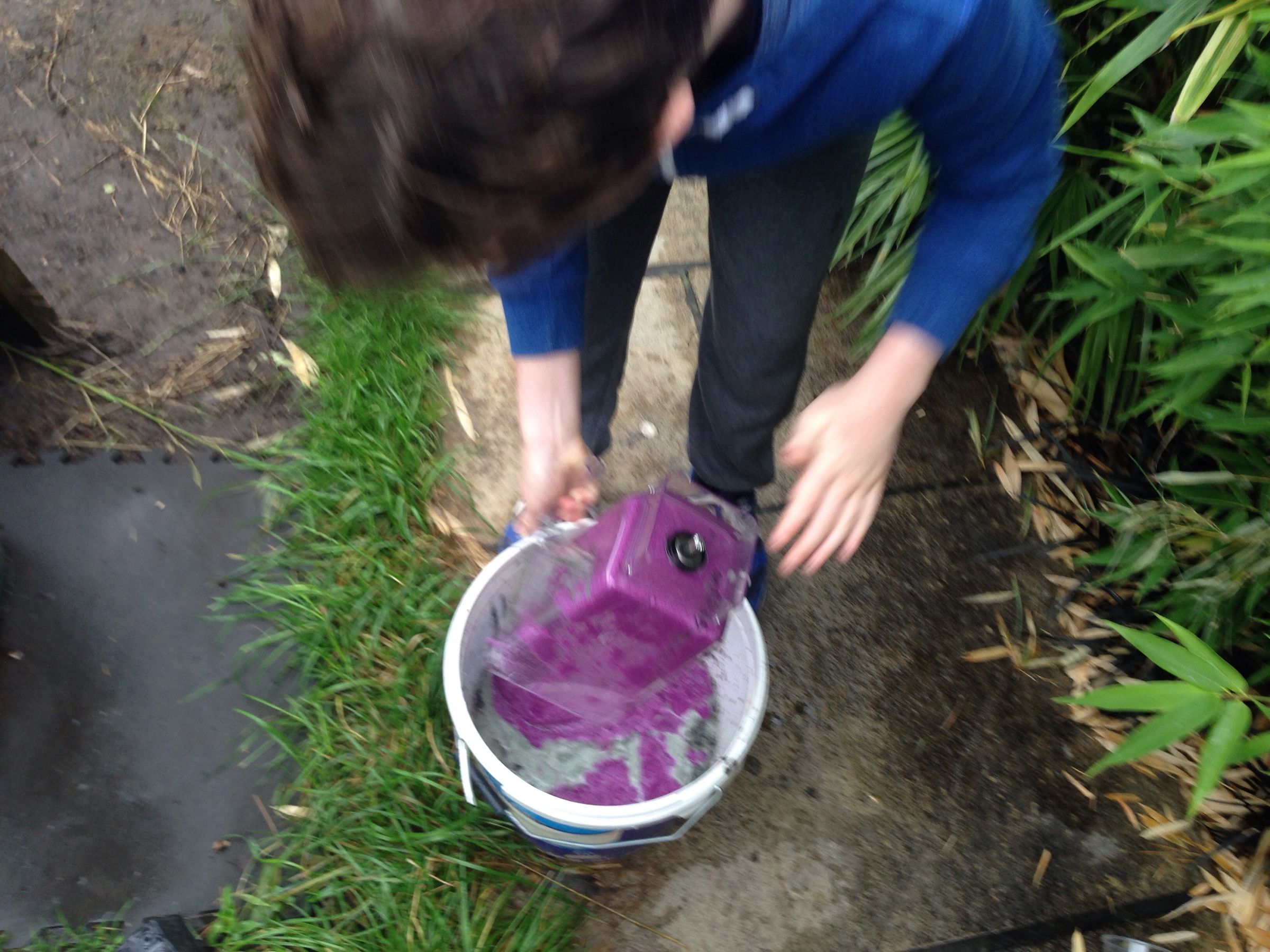 Make Worm Food for Your Wormery : 4 Steps (with Pictures) - Instructables