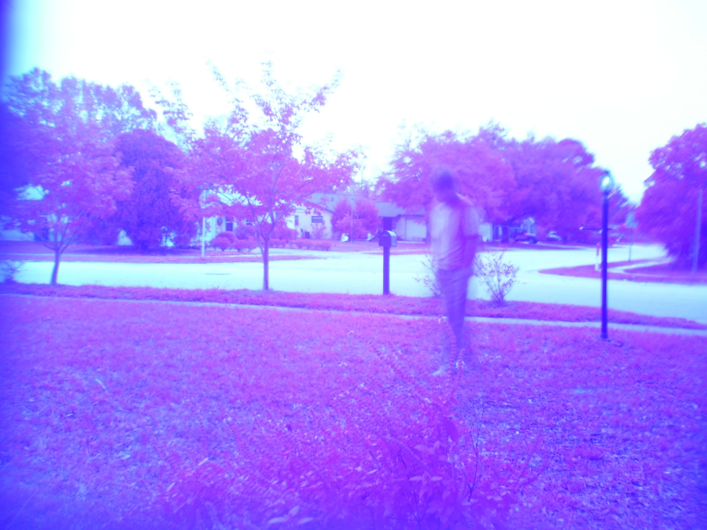 Photography in the Ultraviolet Spectrum : 3 Steps - Instructables