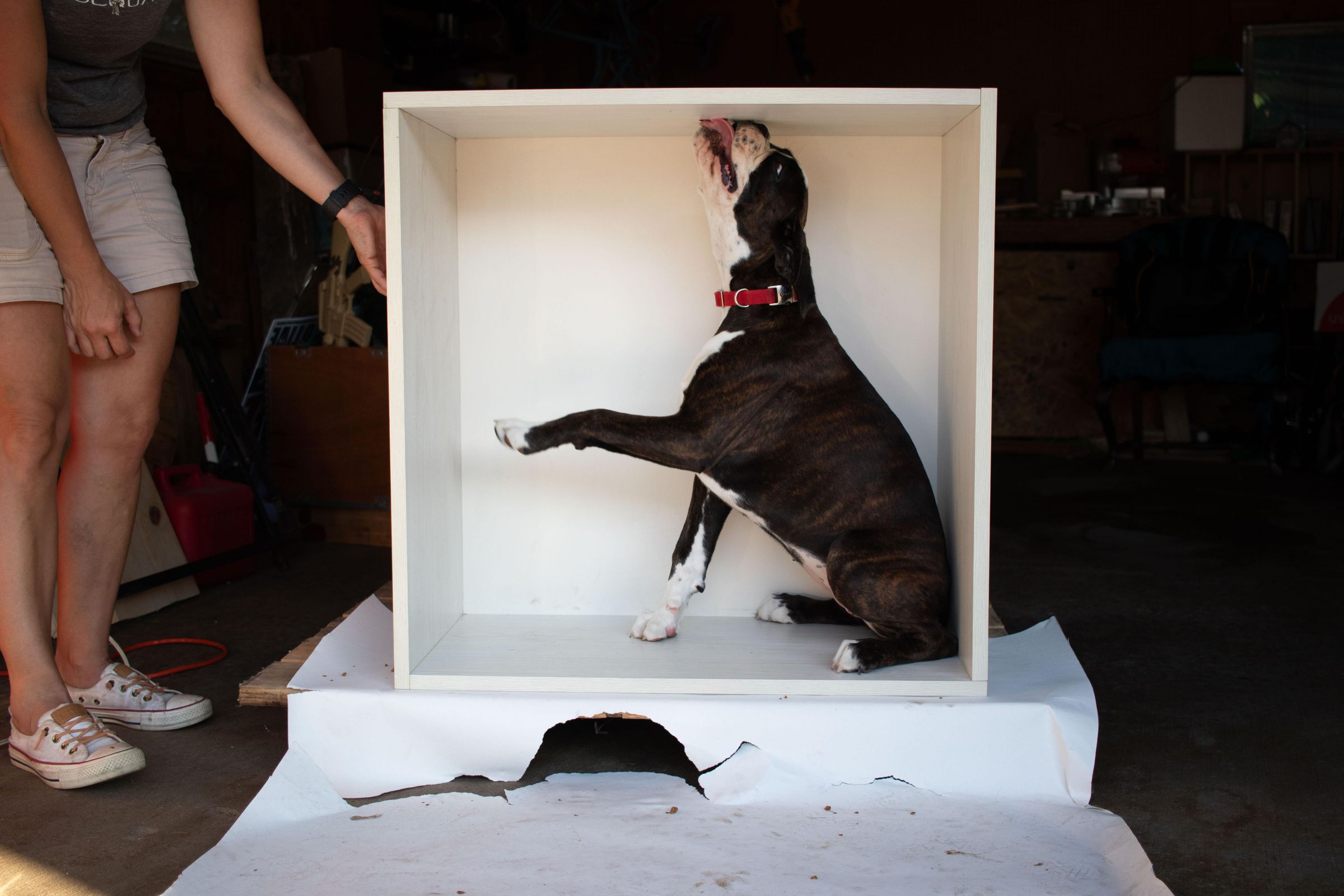 In the Box Photography : 10 Steps (with Pictures) - Instructables