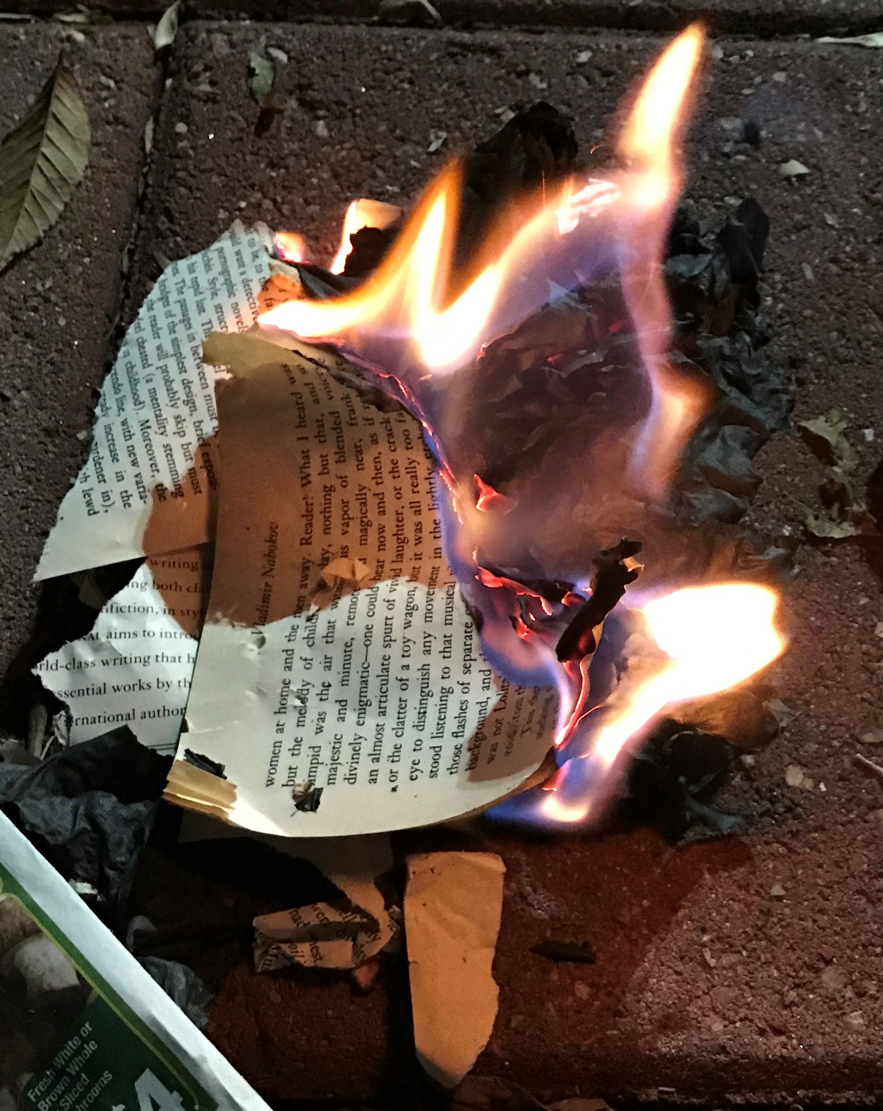 How to Destroy a Book in Seven Easy Steps : 7 Steps - Instructables