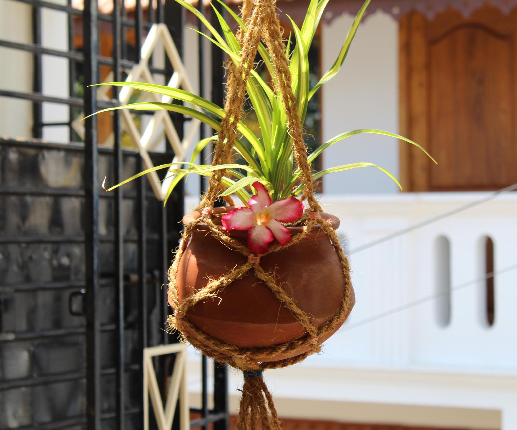 DIY Jute Rope Plant Hanger : 6 Steps (with Pictures) - Instructables