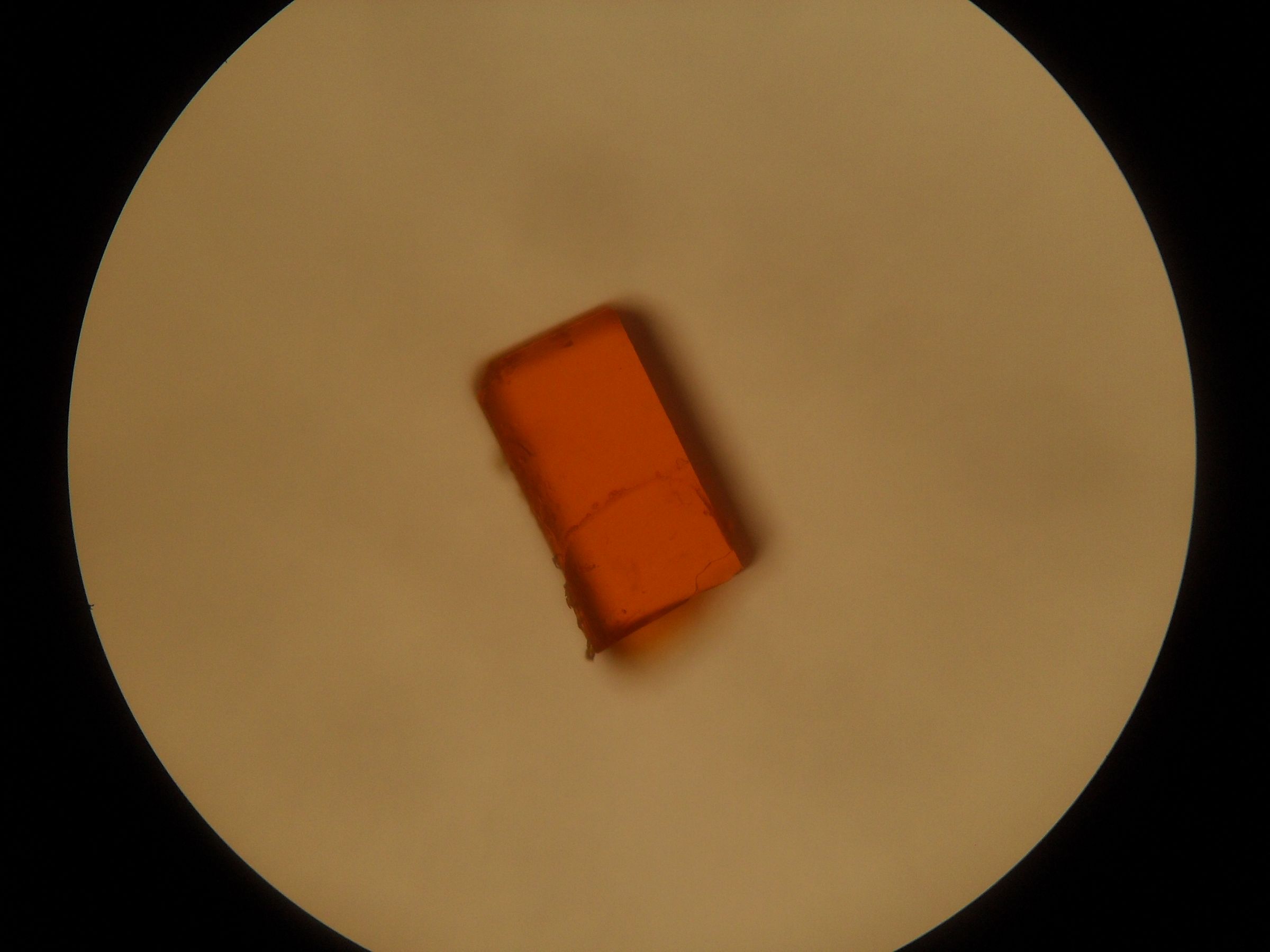 How to Grow Great Crystals : 14 Steps (with Pictures) - Instructables