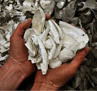 Burn Seashell Lime in a Primitive Straw/Clay Kiln! : 10 Steps (with ...