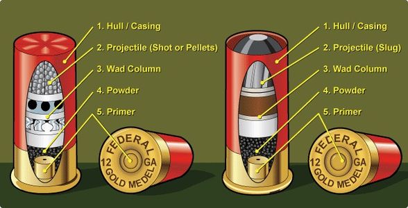 How to Remove Brass From a Spent Shotgun Shell : 6 Steps - Instructables