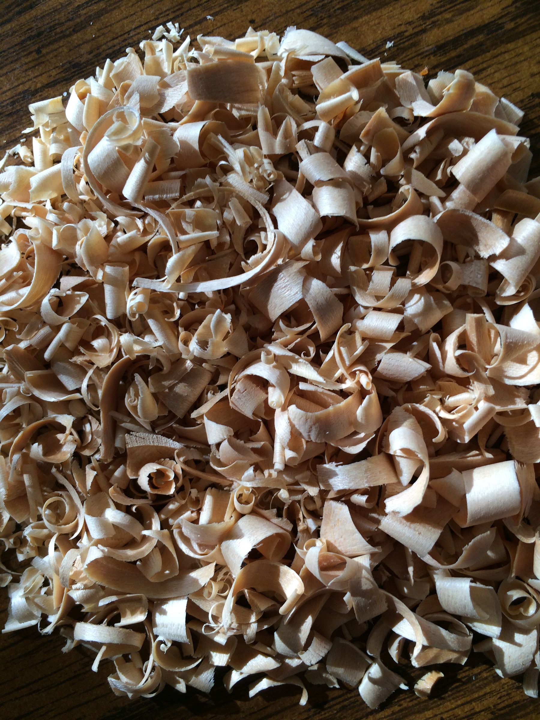 Carving a Grumpy Man From Wood : 3 Steps - Instructables