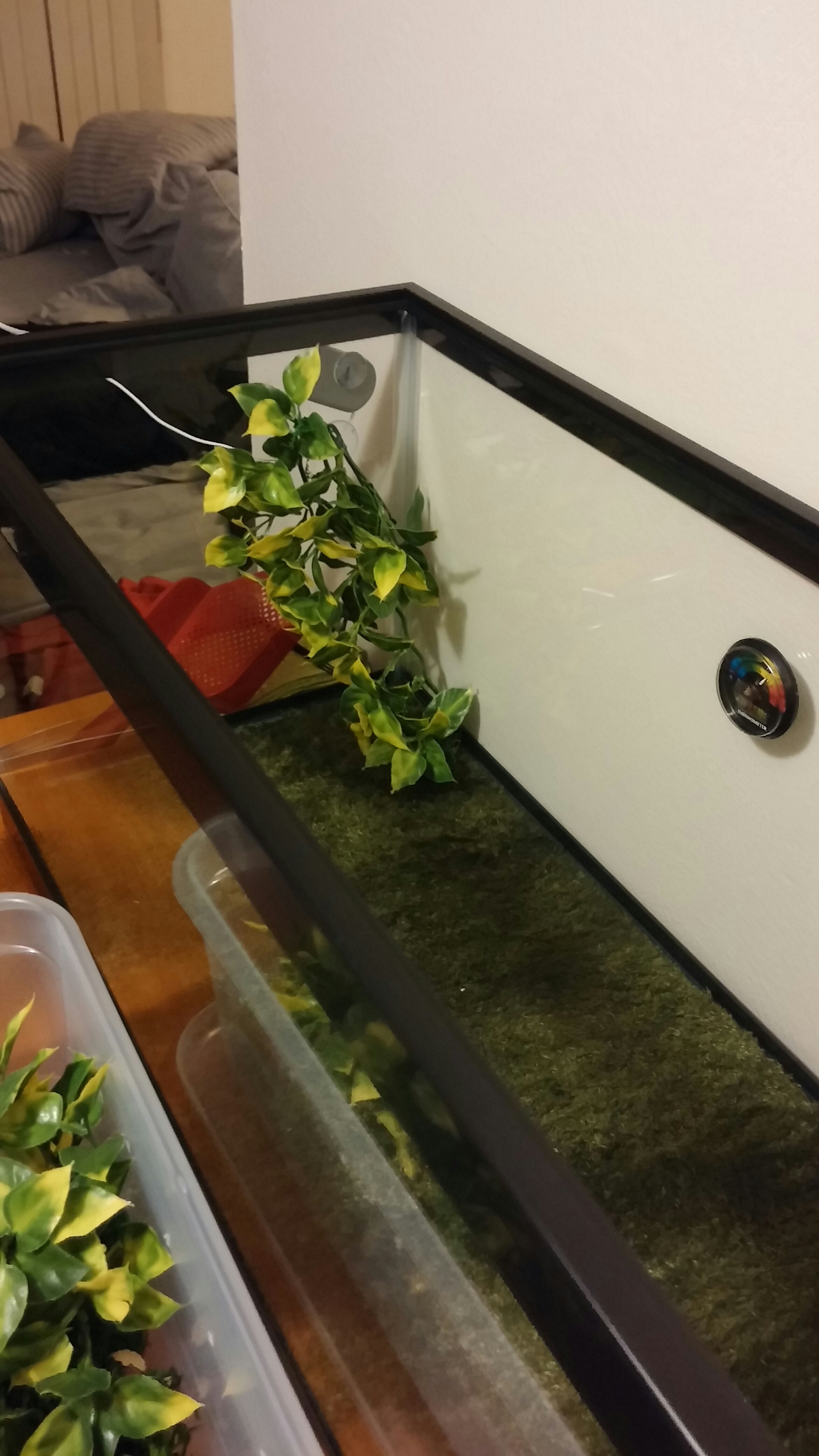 How to Set Up a Reptile Terrarium : 8 Steps (with Pictures) - Instructables