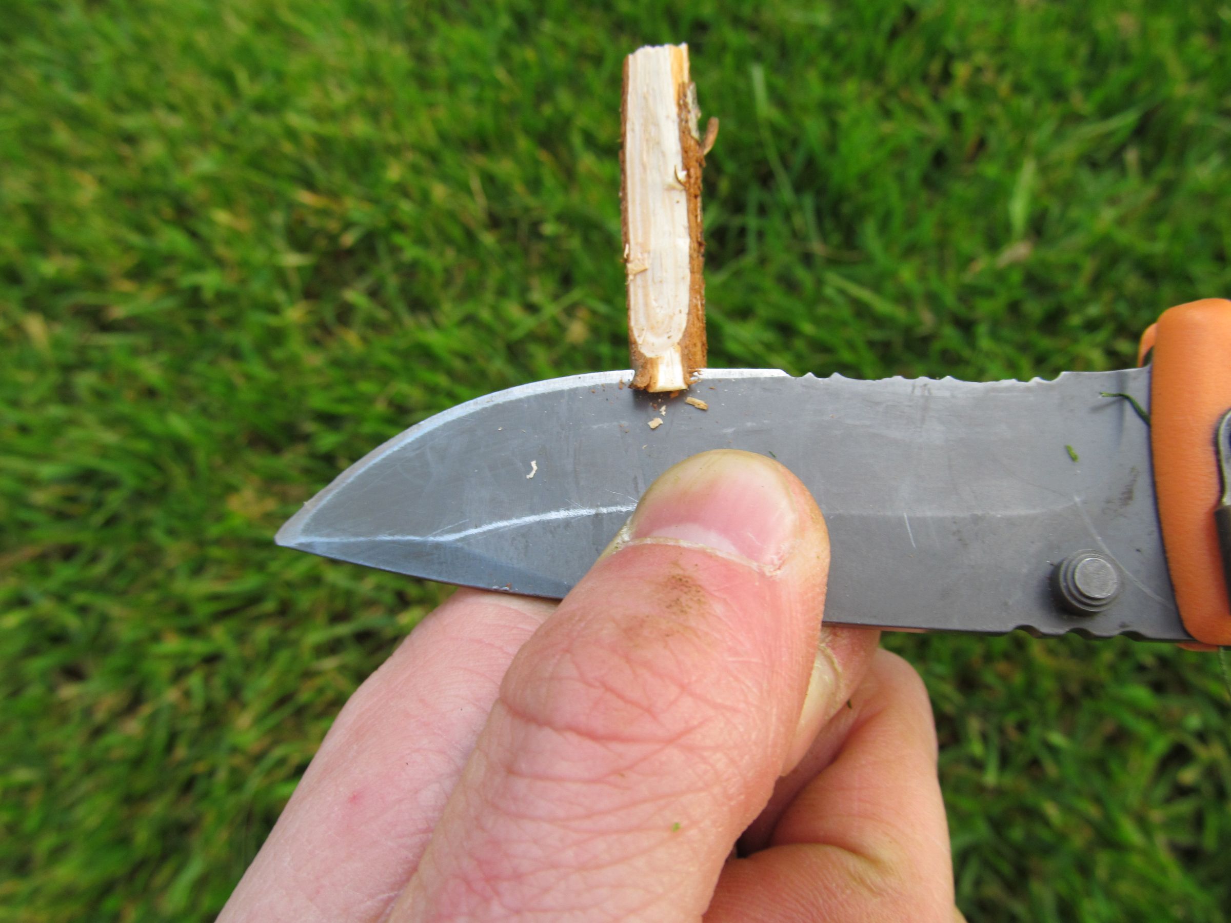 Split Stick Deadfall Trap : 4 Steps (with Pictures) - Instructables