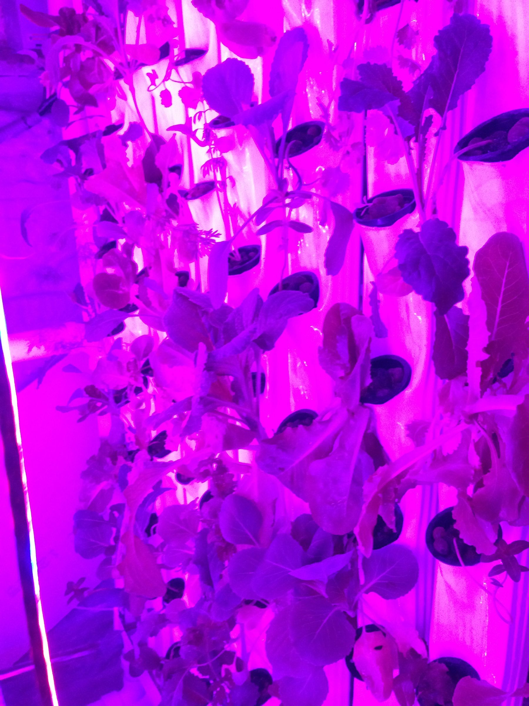 Vertical Hydroponic Farm : 13 Steps (with Pictures) - Instructables