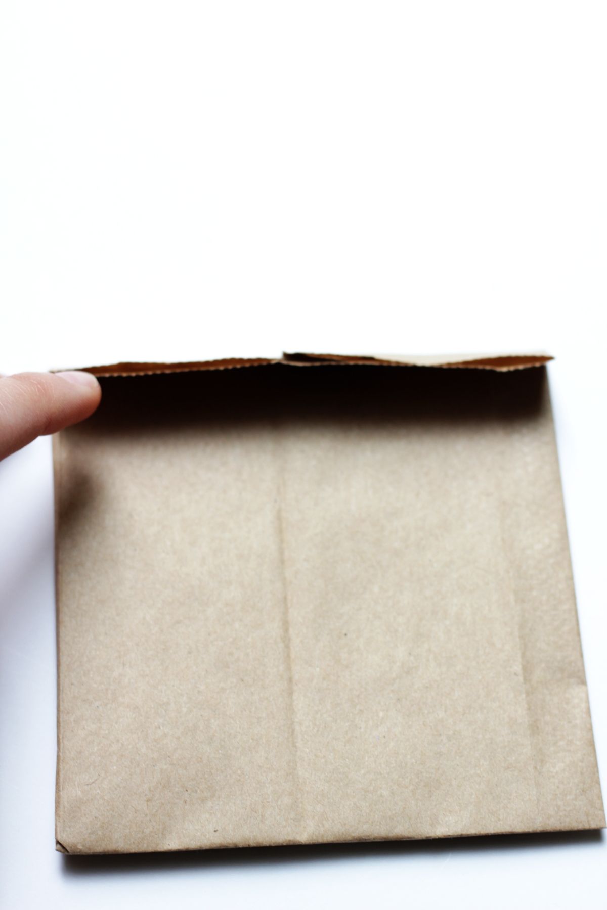 DIY Brown Paper Bag Packaging : 3 Steps (with Pictures) - Instructables