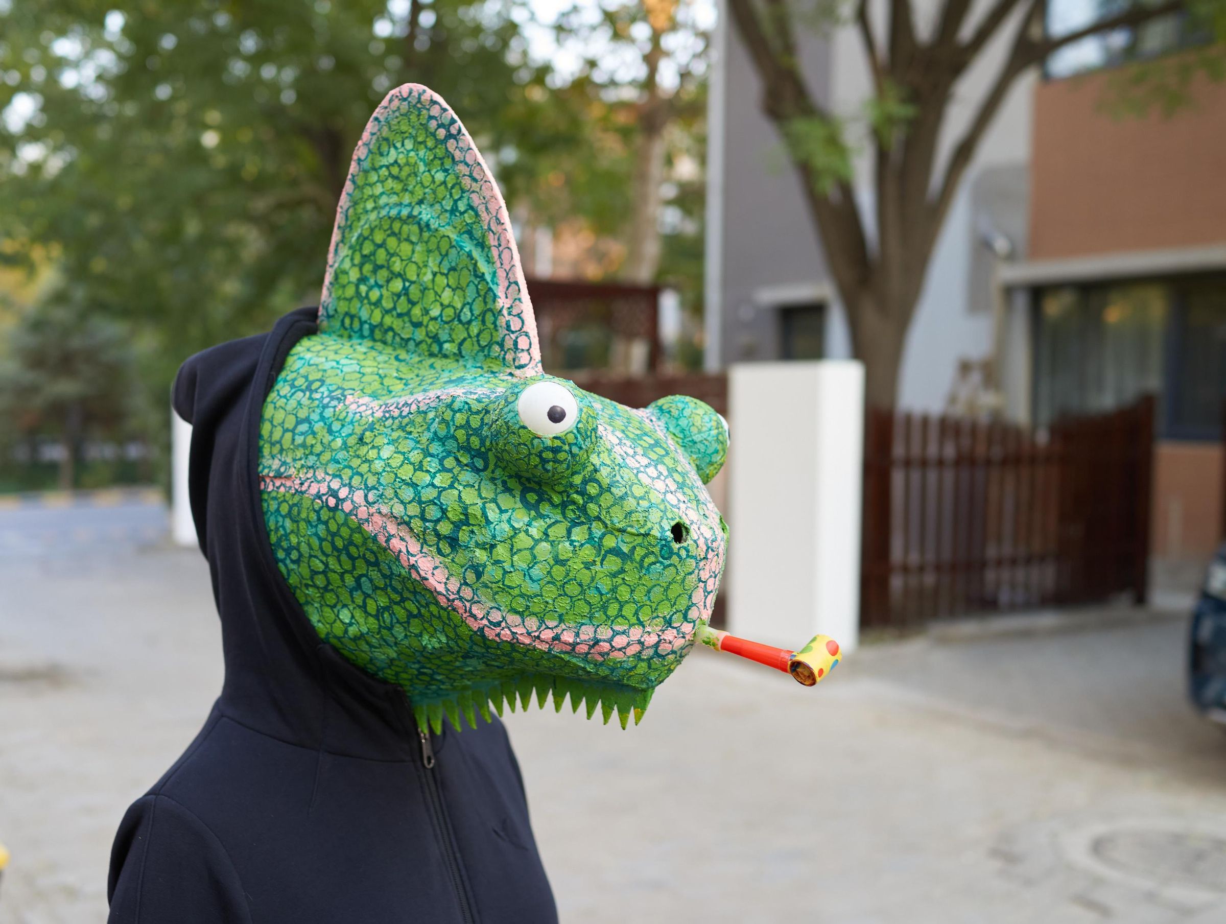 Chameleon Mask : 8 Steps (with Pictures) - Instructables