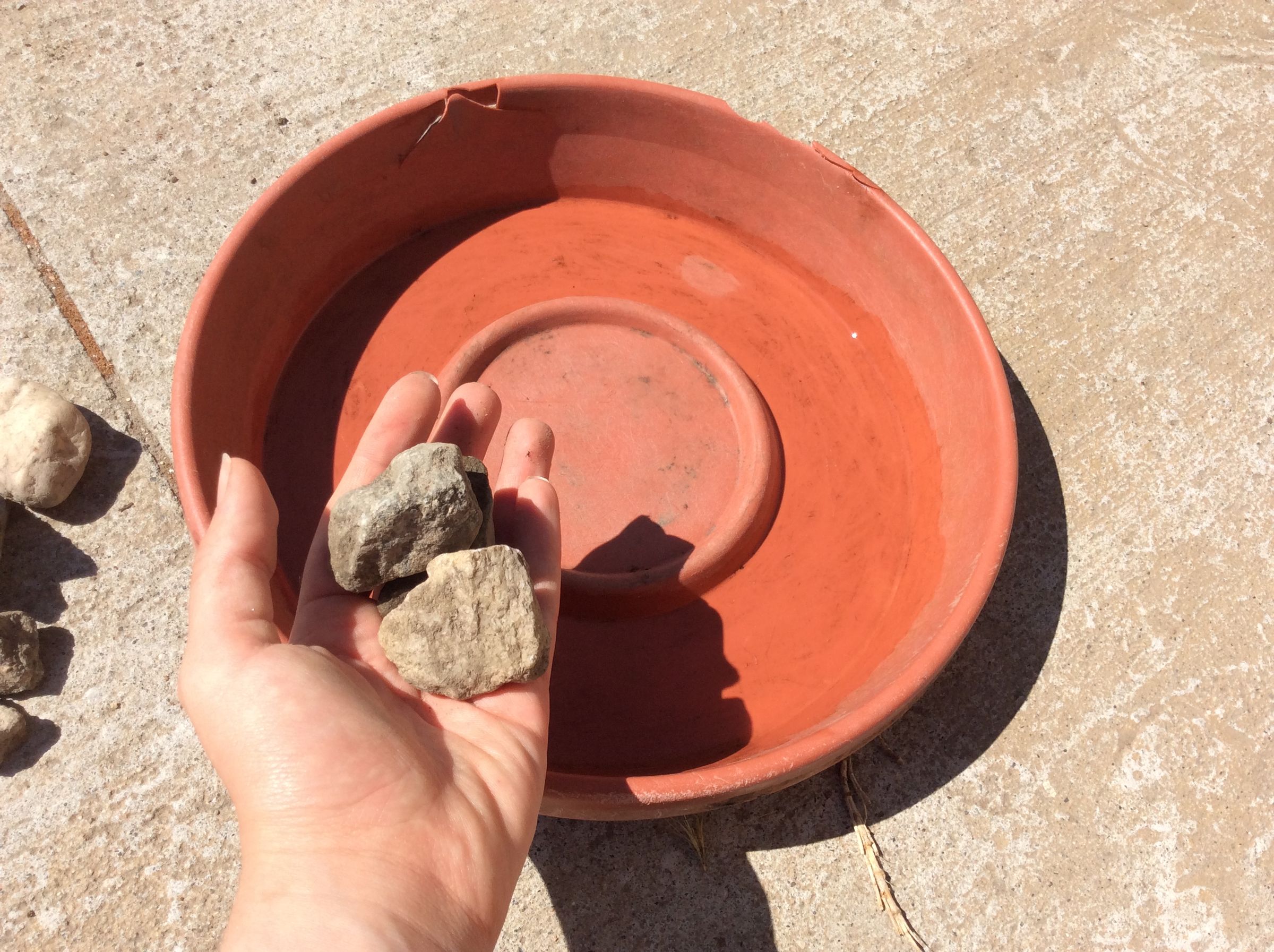 Make Your Own Bee Bath : 3 Steps - Instructables