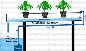 Mini NFT Hydroponic System : 5 Steps (with Pictures) - Instructables