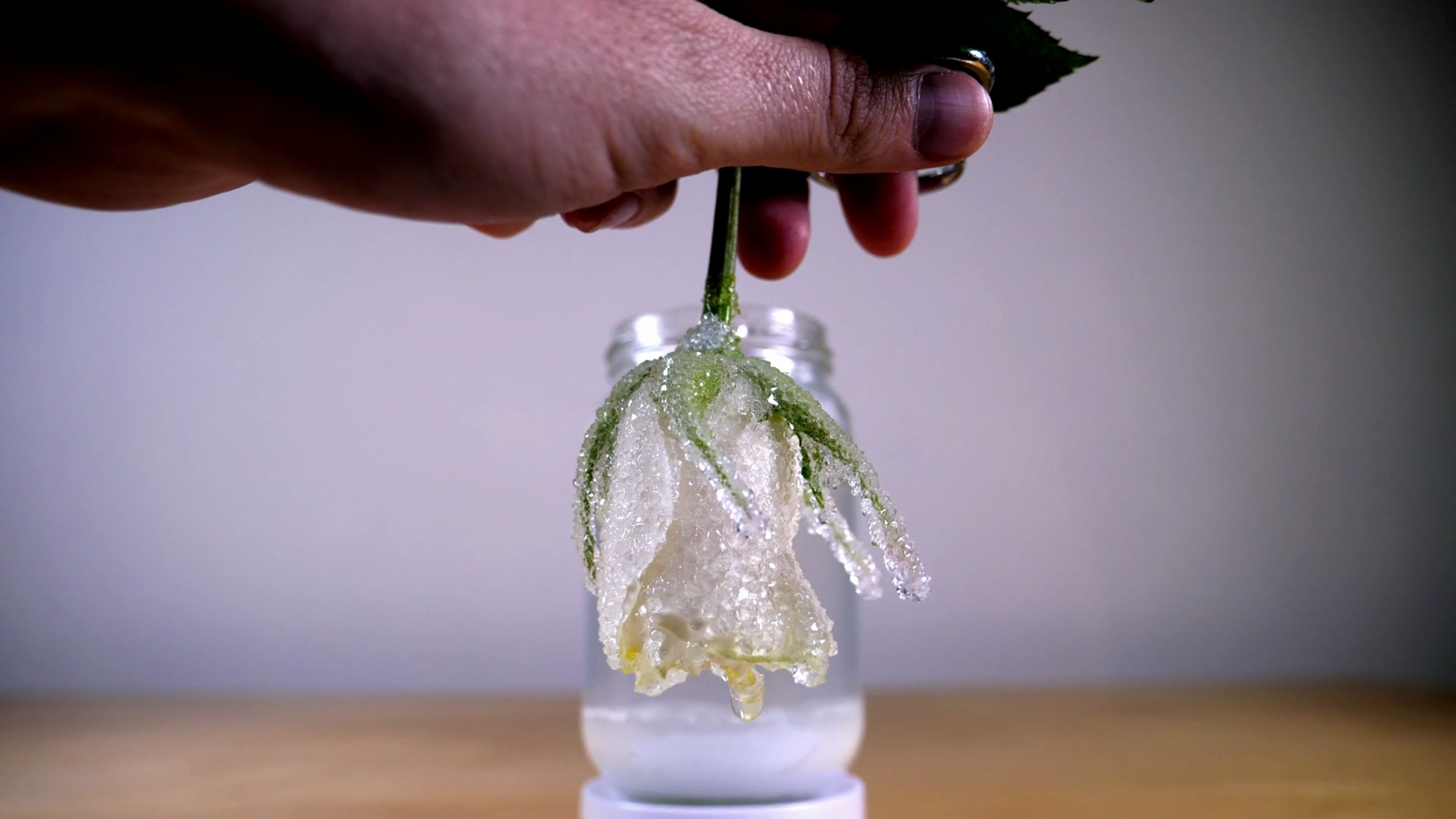 Flower Crystallization : 8 Steps (with Pictures) - Instructables