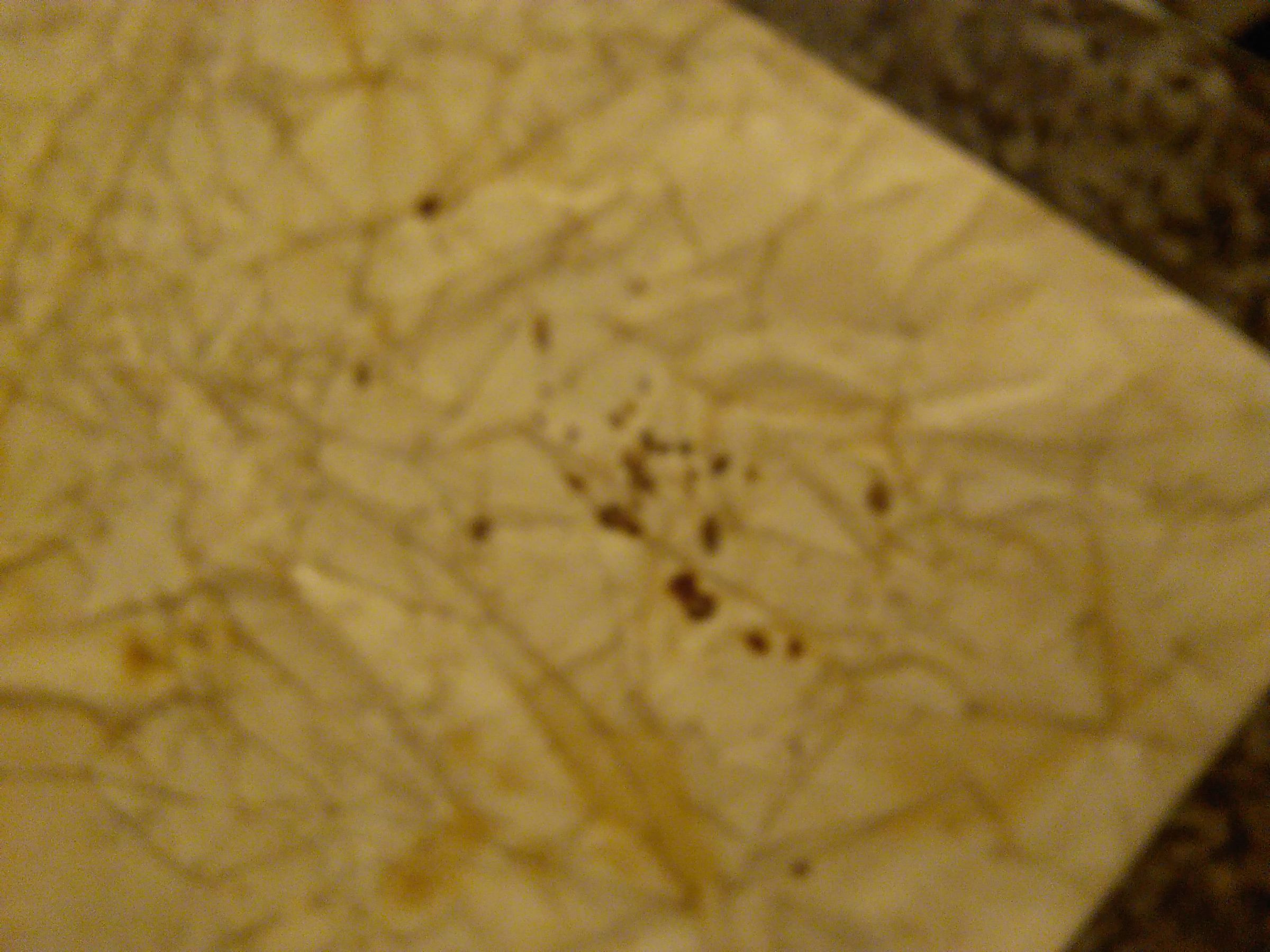 How to Make Parchment Paper. : 6 Steps (with Pictures) - Instructables