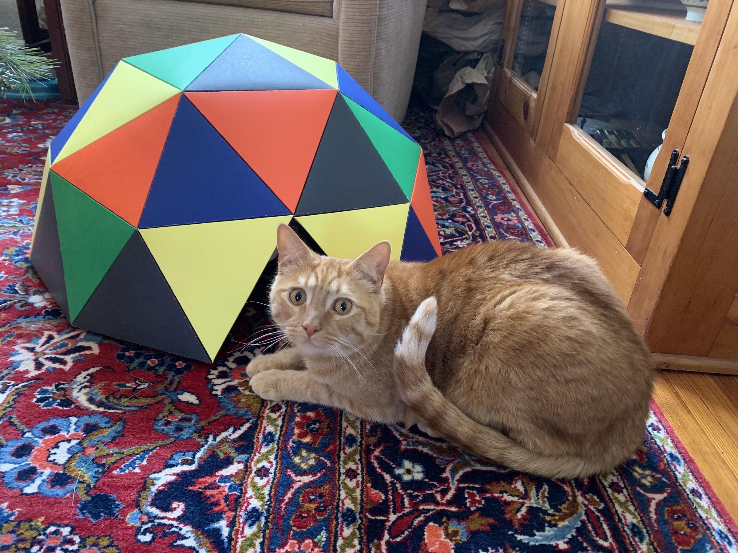 Cardboard Geodesic Dome : 7 Steps (with Pictures) - Instructables