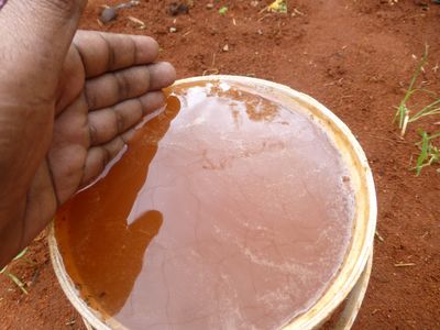 How to Purify Muddy Water : 7 Steps (with Pictures) - Instructables