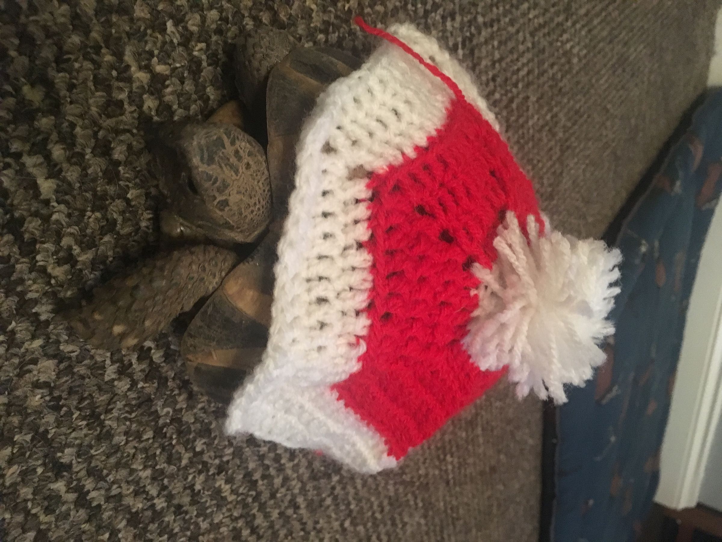 Tortoise Jumper : 9 Steps - Instructables